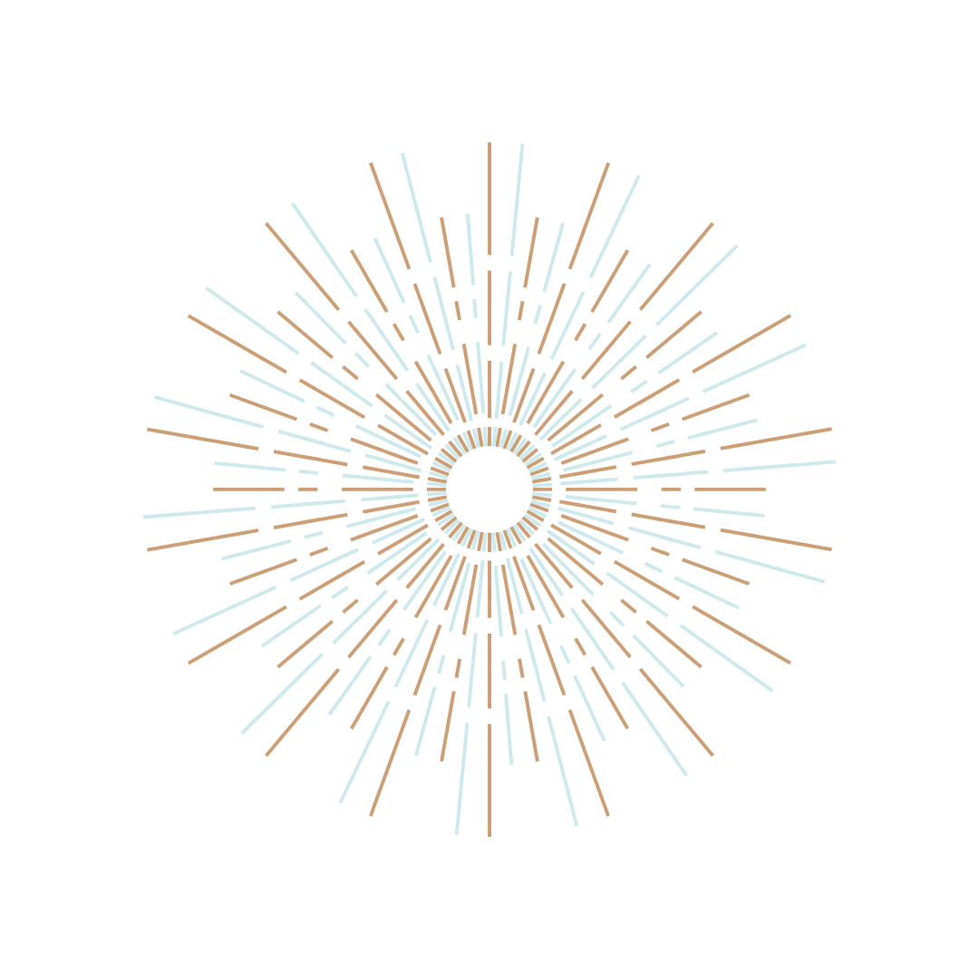 Maui Energy Healing Services — Amy Albert