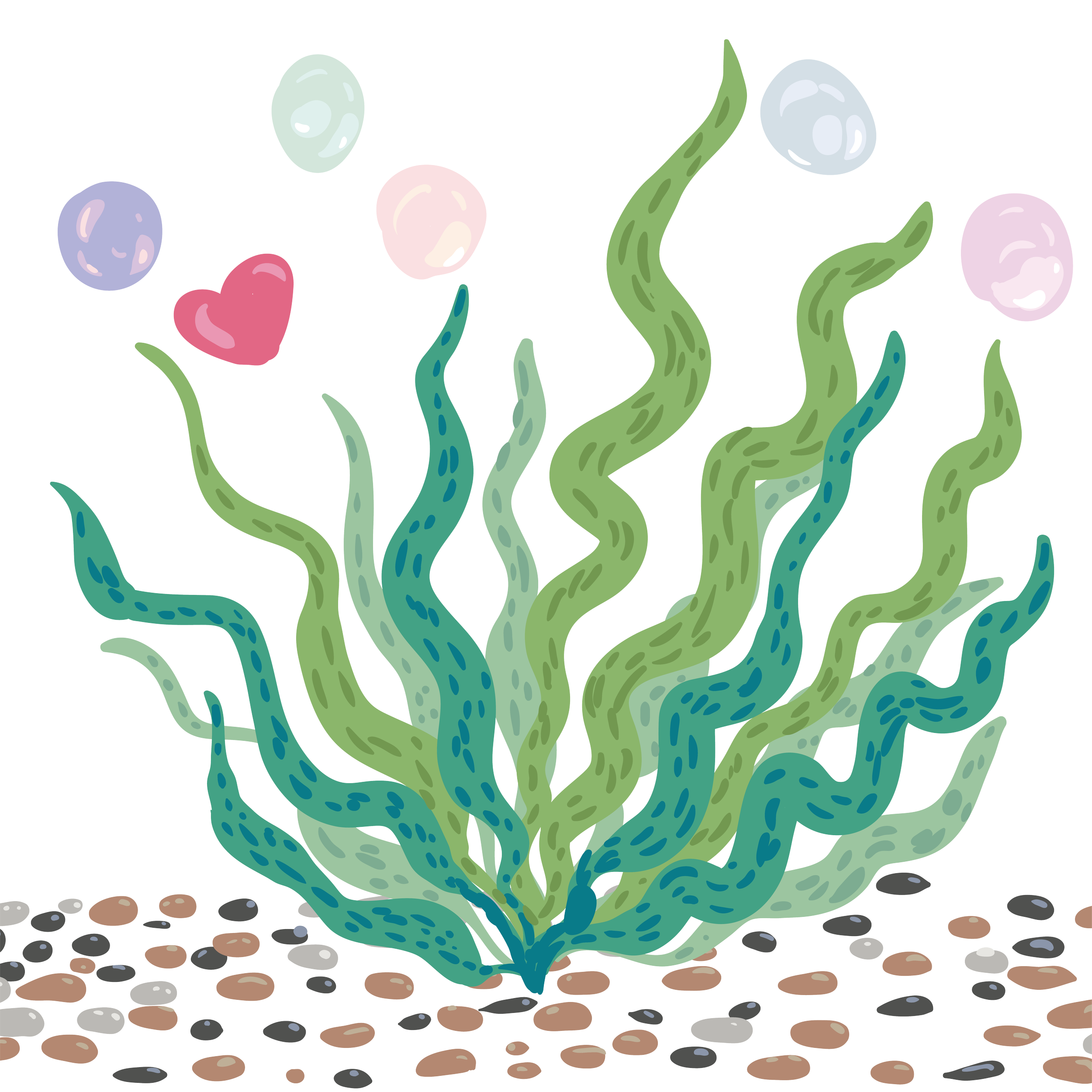 Contact — Coast & flow