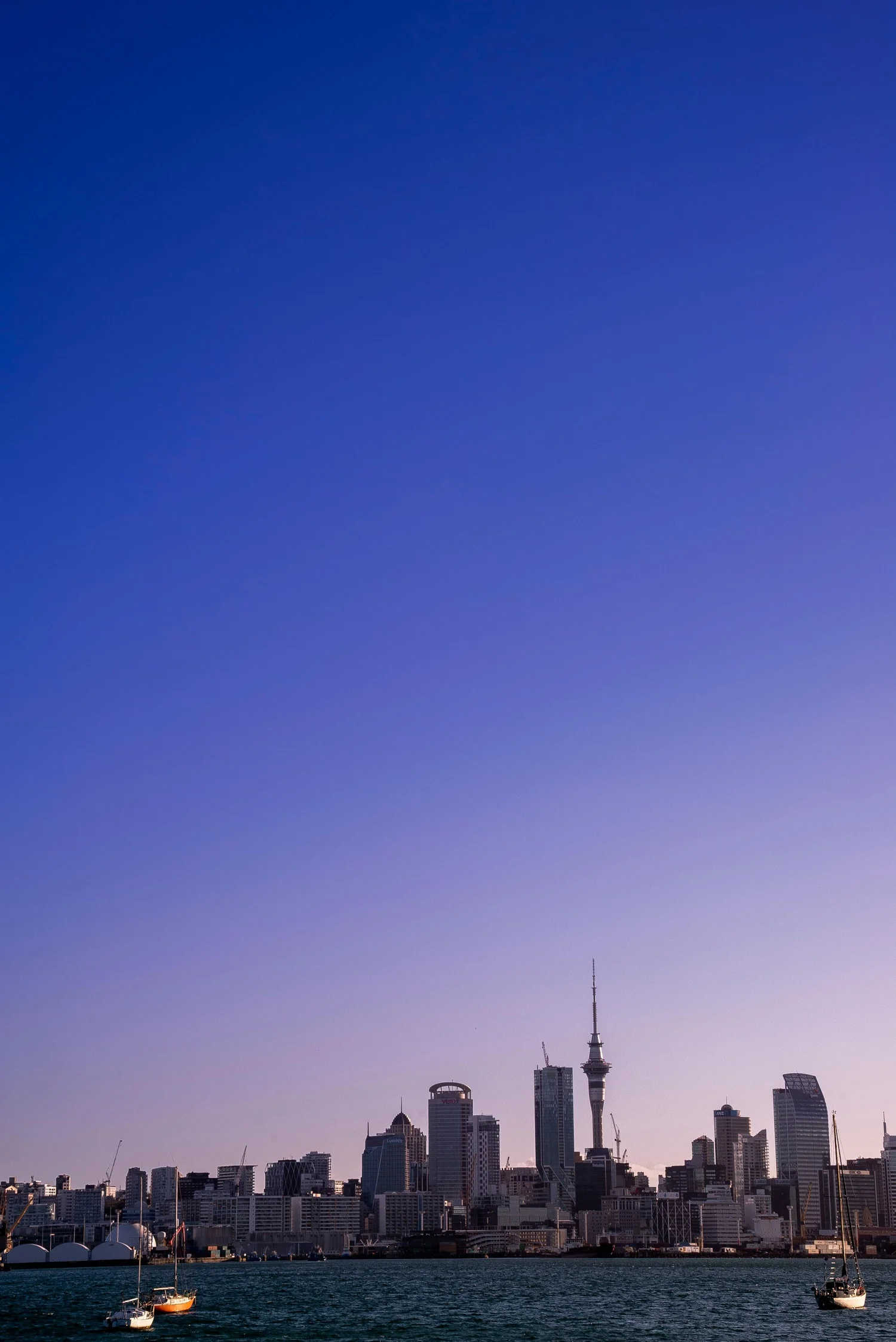 Auckland Sexuality Peer Support Form — RainbowYOUTH