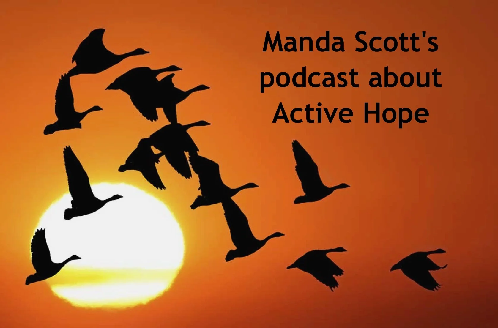 General 1 — Active Hope