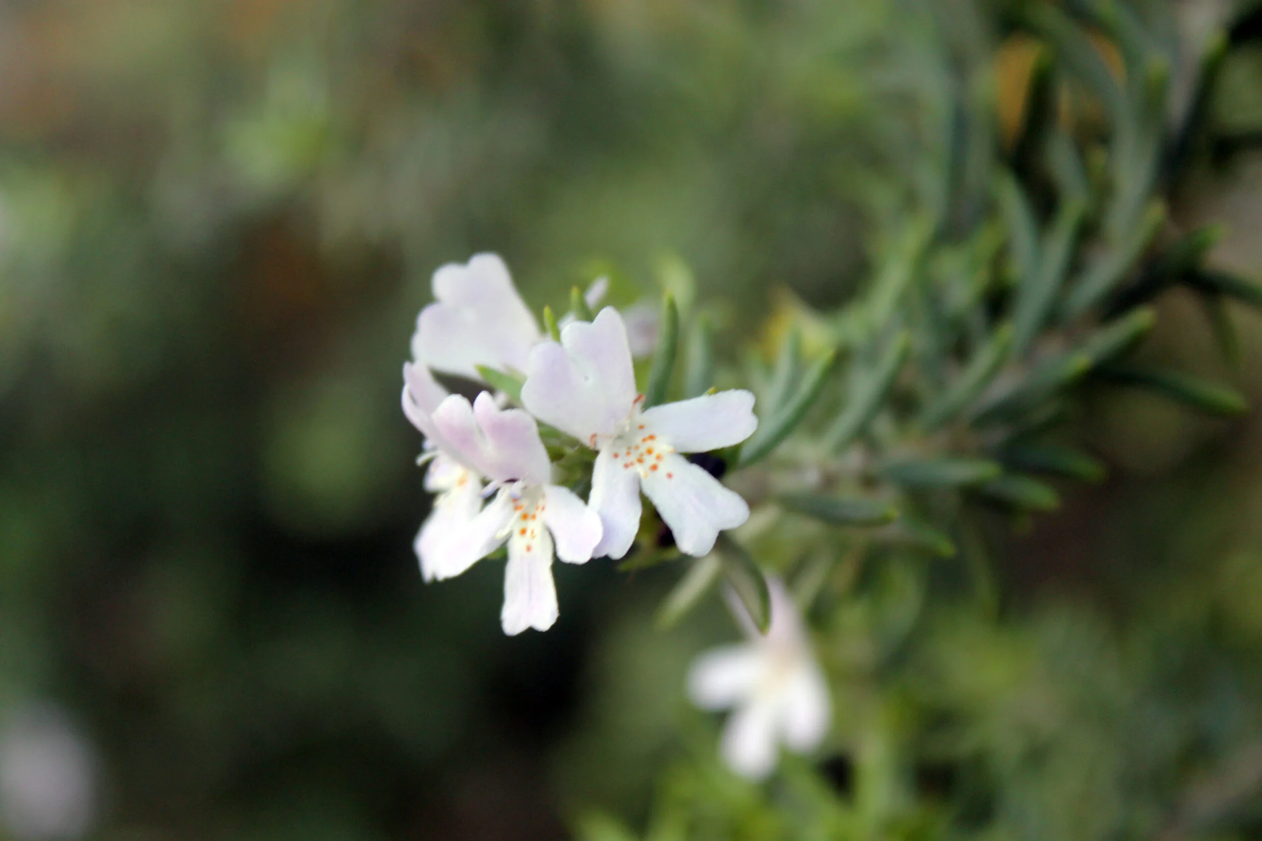 Corporate Headshots and Business Profile Photography — Spitting Image ...