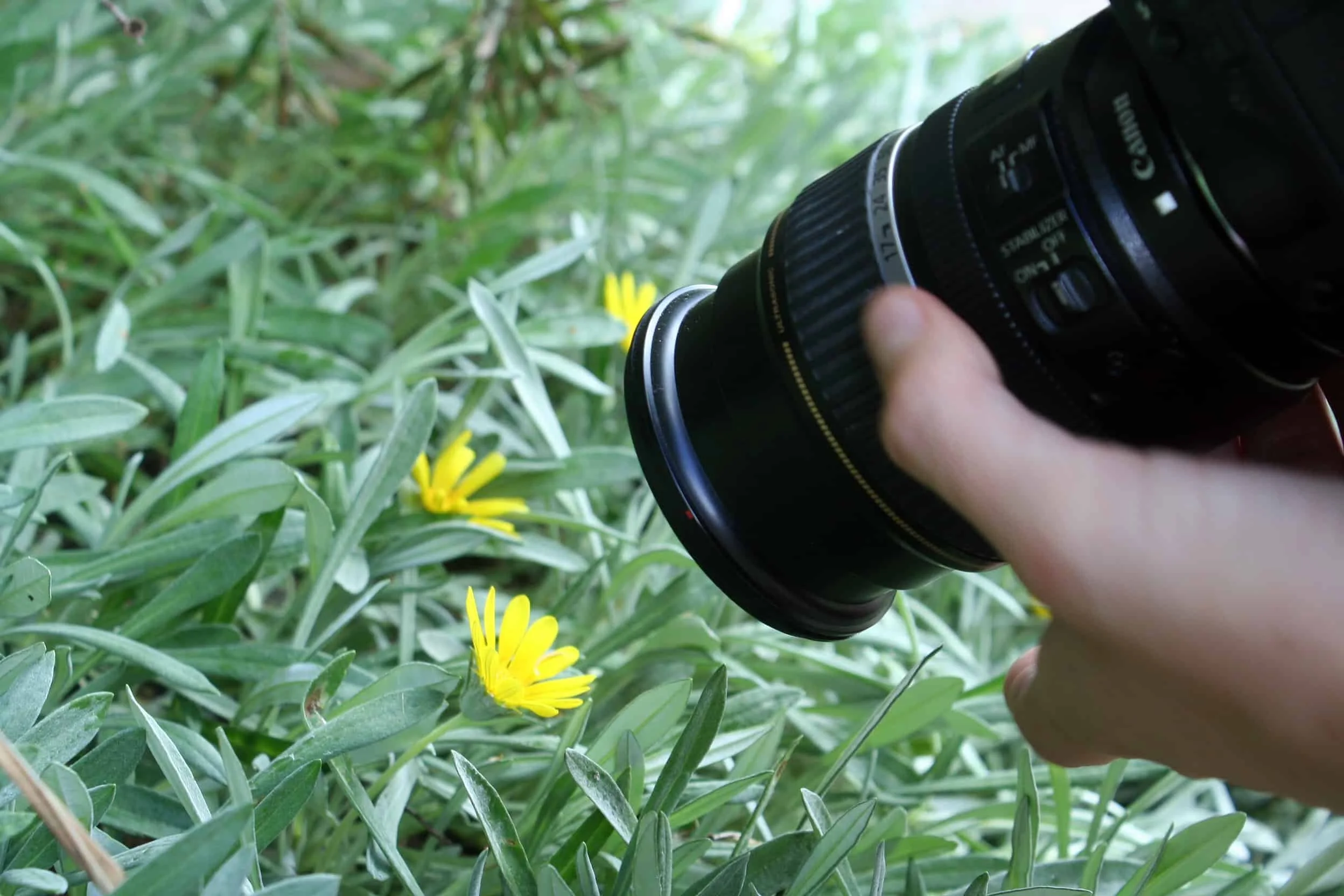 Spitting Image Photography