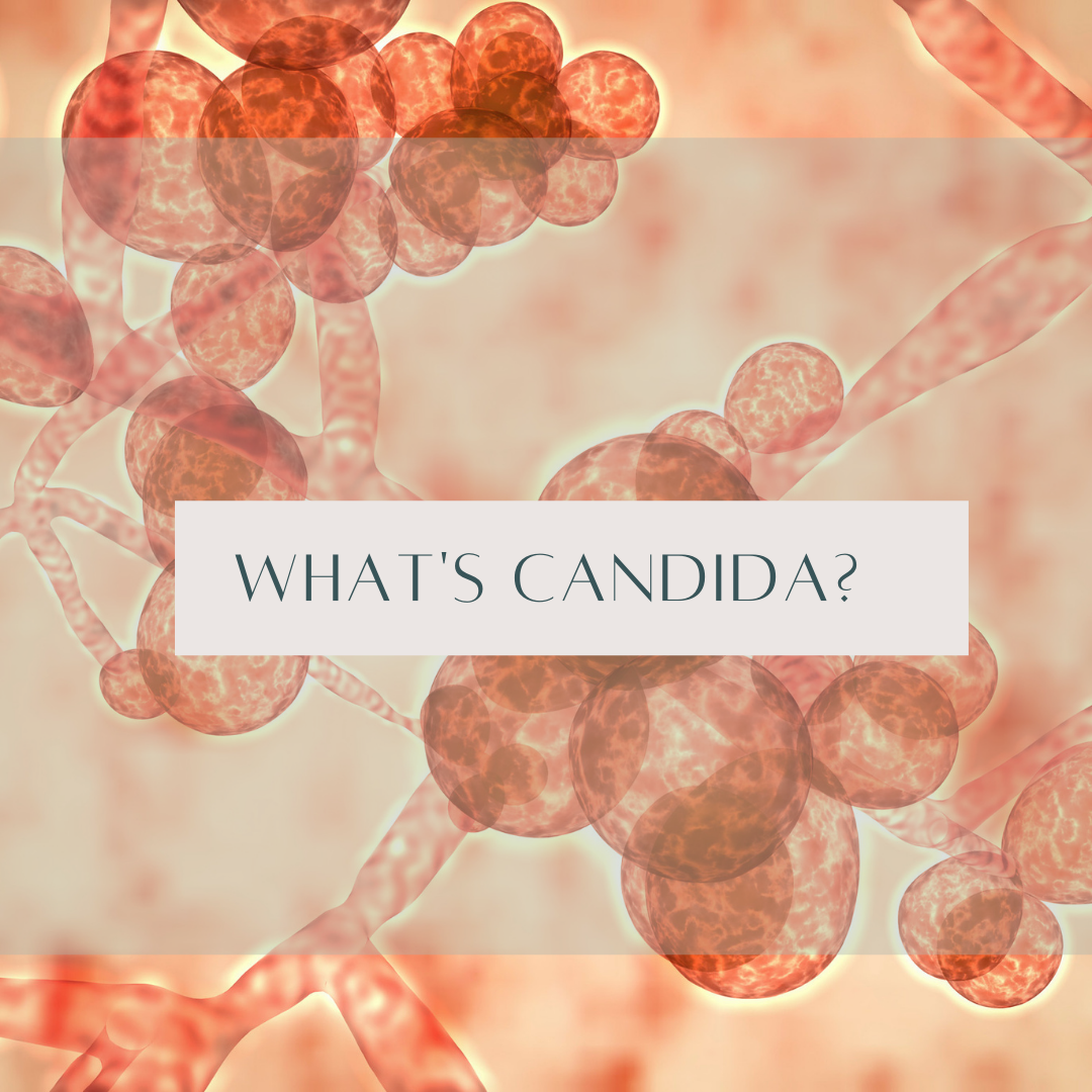 Dr Marie-Christine Dix award winning Wellness Doctor, focussed on ...