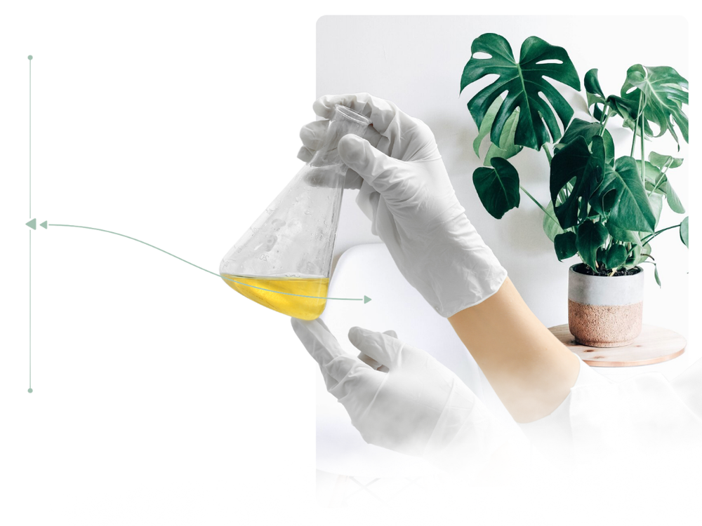 Dr Marie-Christine Dix, Award winning Wellness Doctor