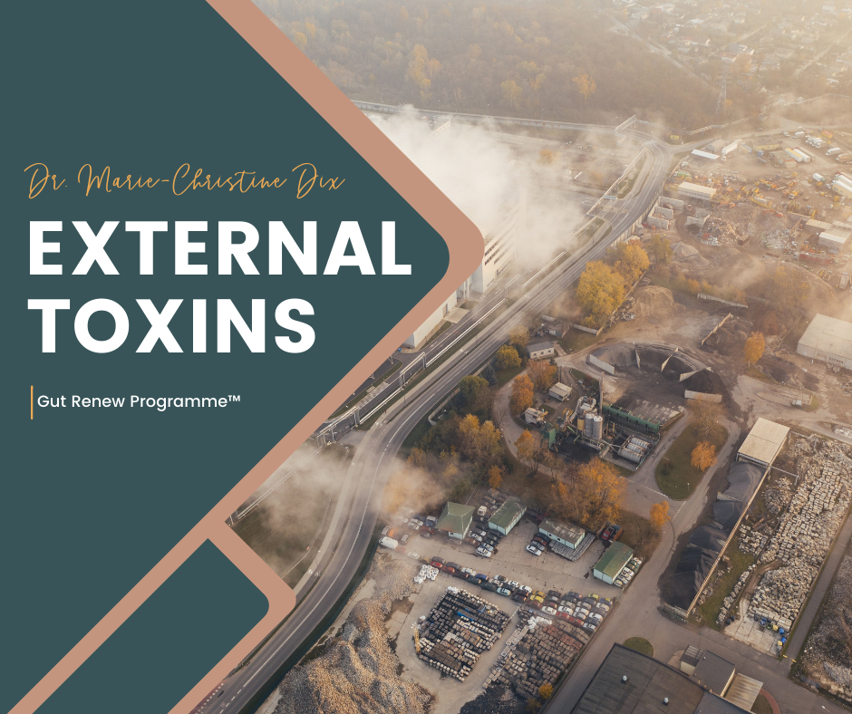 Dr Marie-Christine Dix award winning Wellness Doctor, focussed on ...