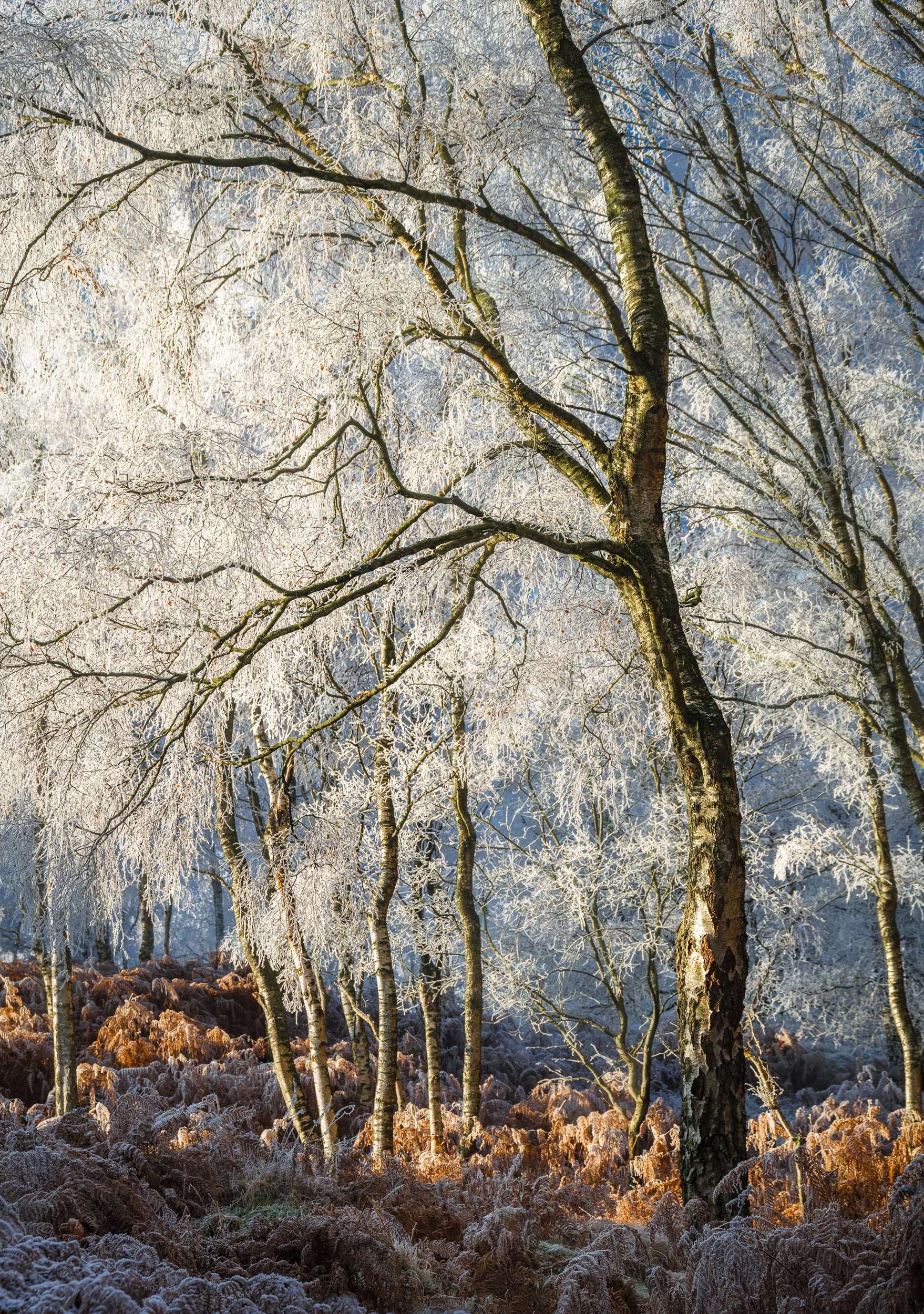 Lake District Residential Workshops — Lake District Landscape ...