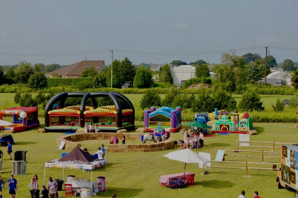 Inflatables | Rental Catalog — NYFF Events