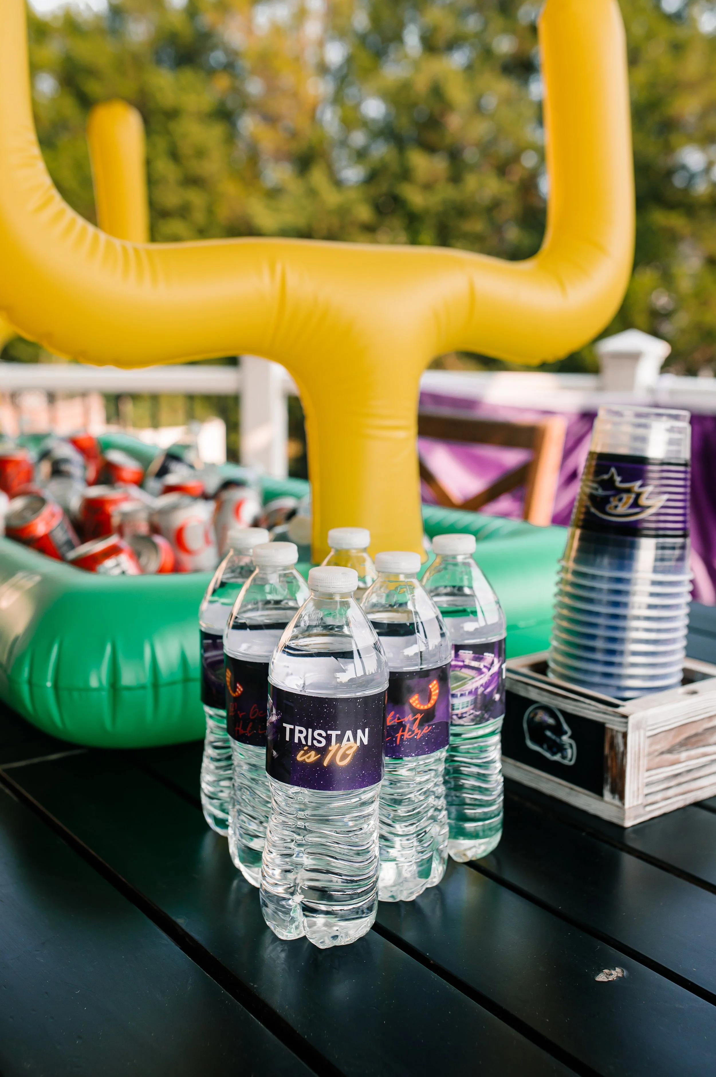 Baltimore Ravens Party — Cake Maestra