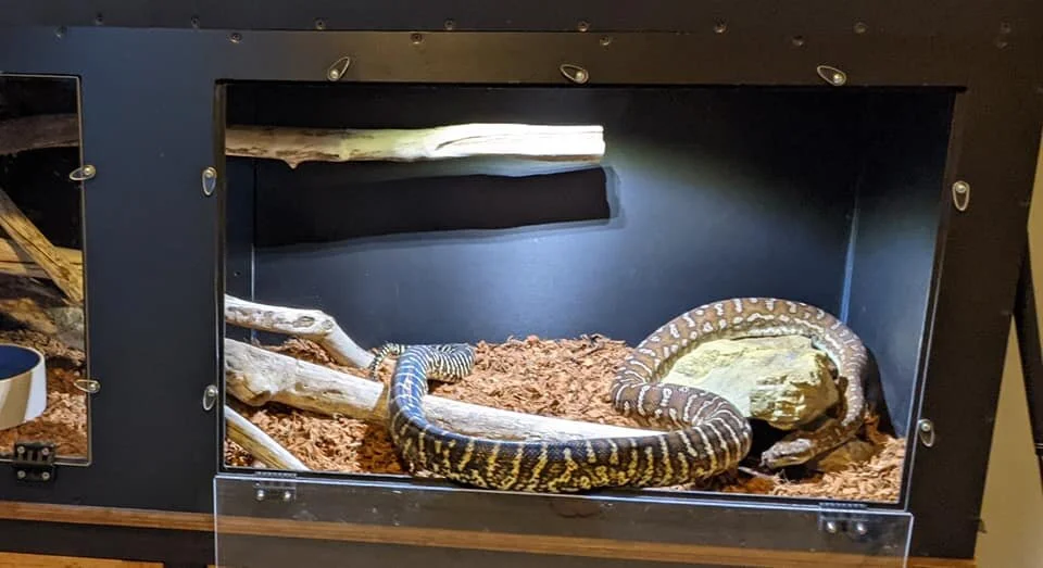 About Us — Top Tier Caging