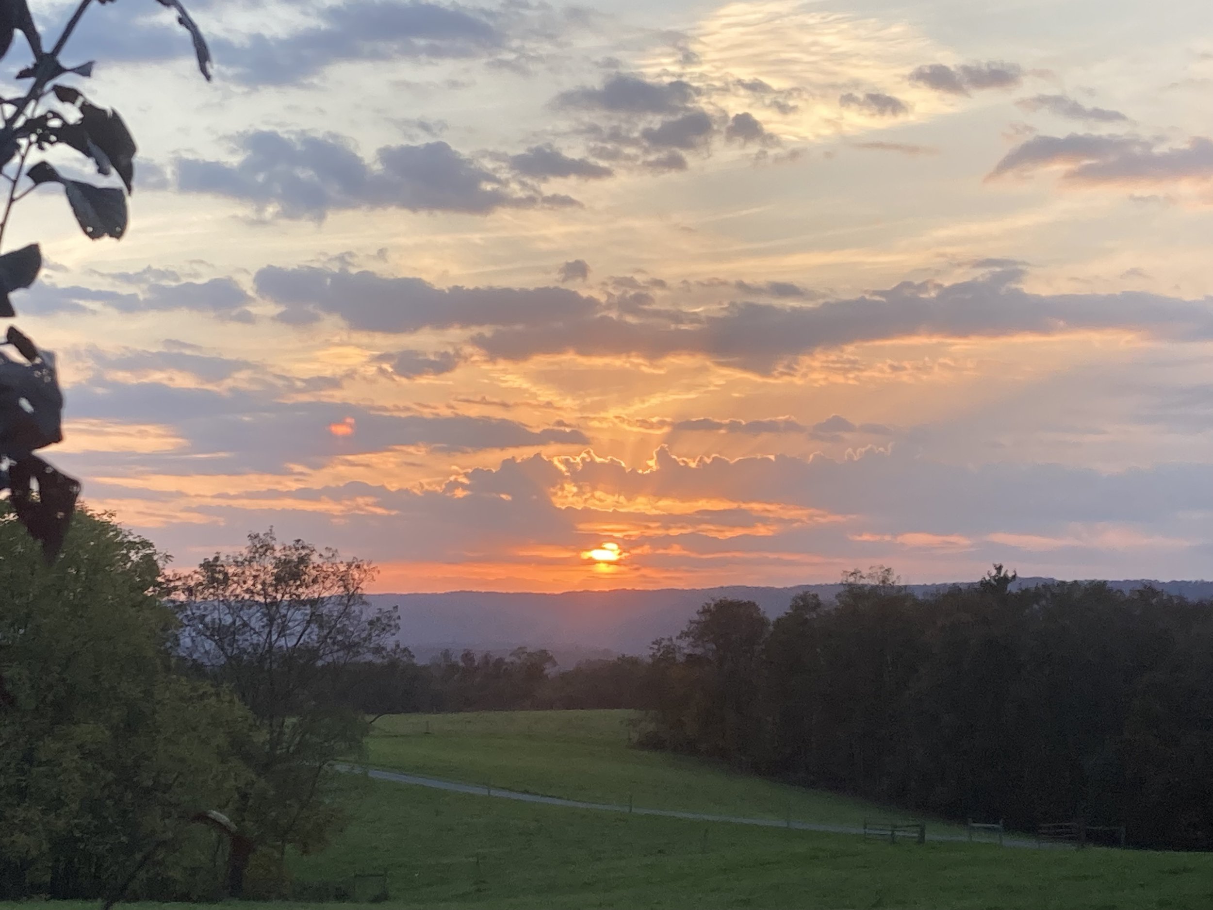 Visit — Coulter Farms