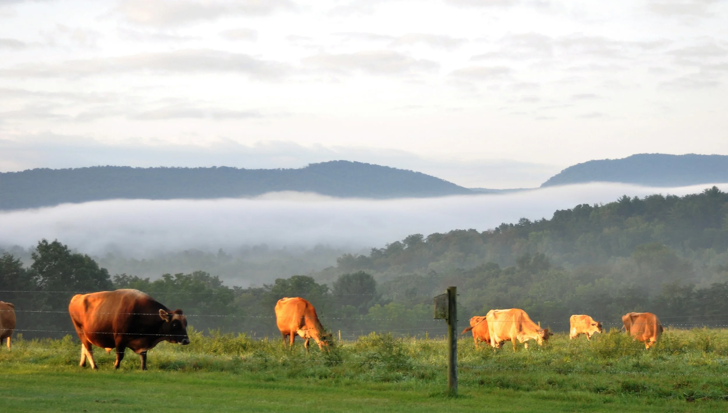 Products — Coulter Farms