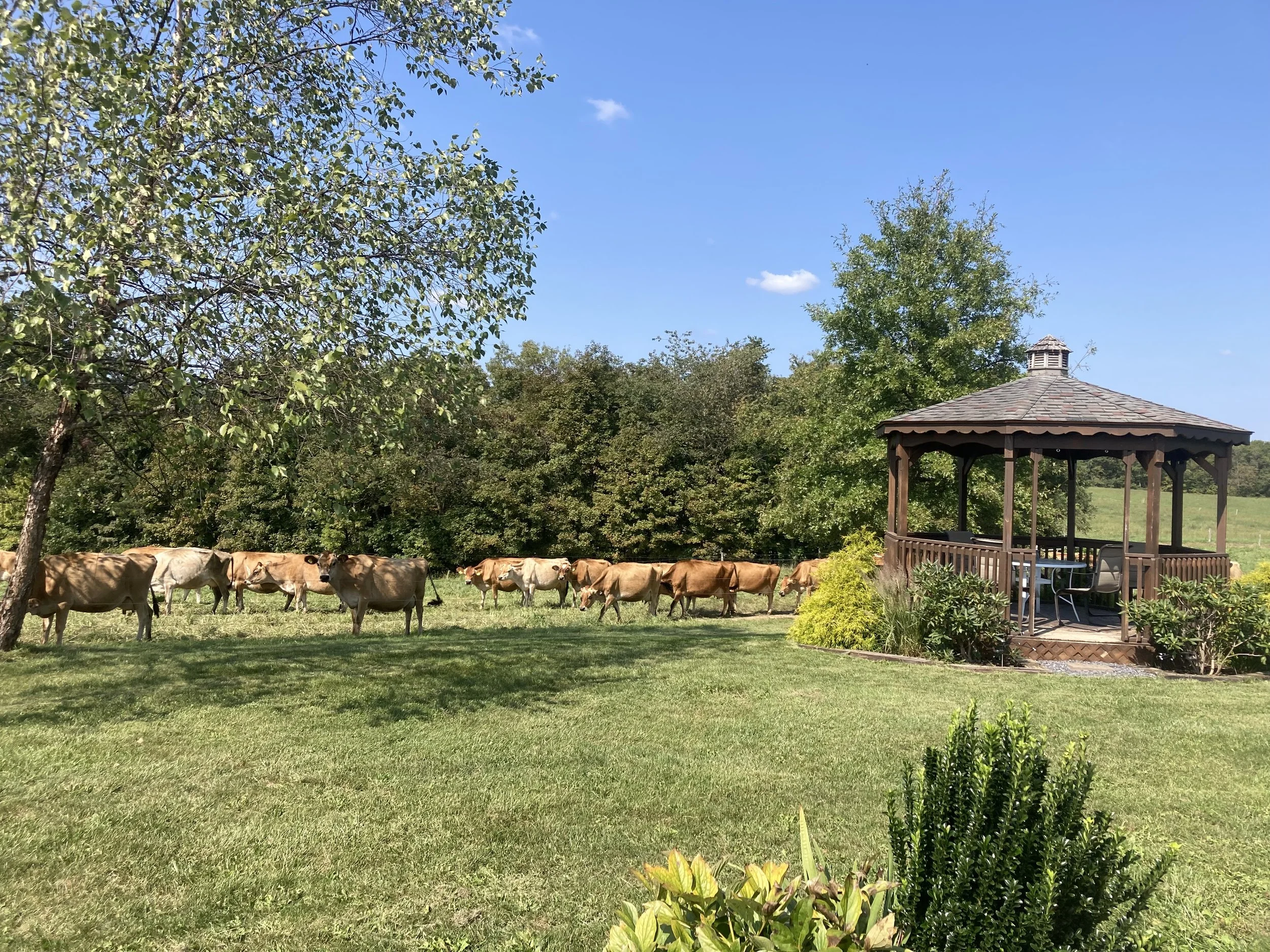 Visit — Coulter Farms