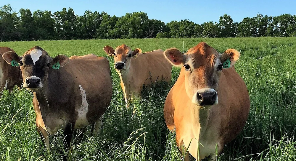 Contact Us — Coulter Farms