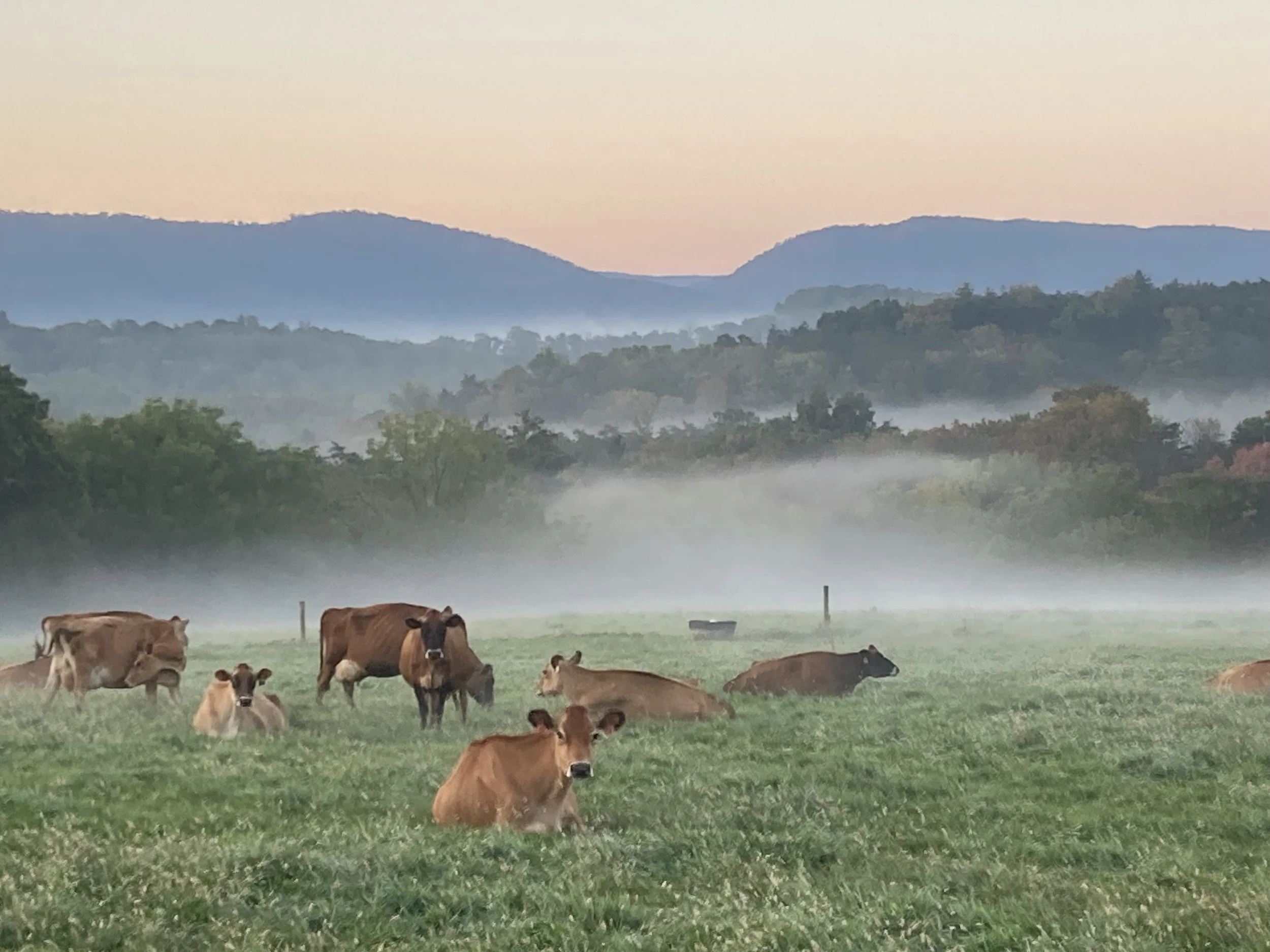 Visit — Coulter Farms