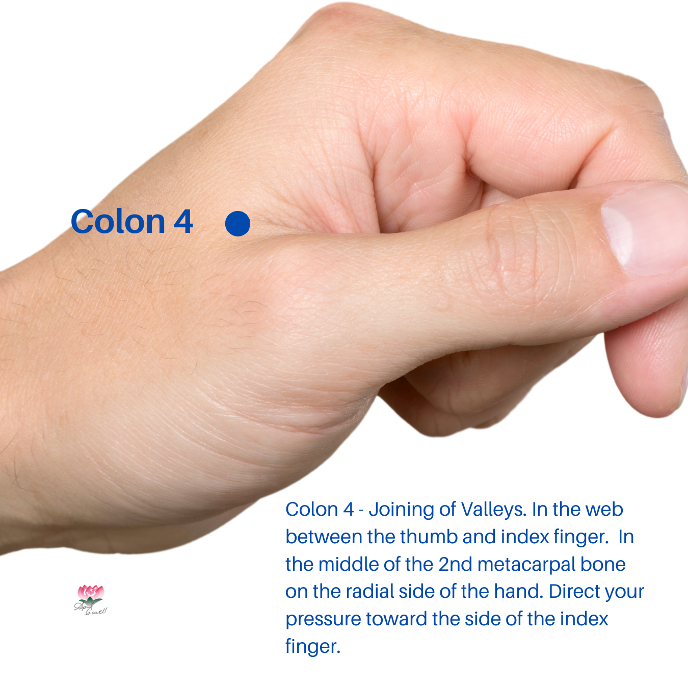 acupoints — Aprilcrowell.com
