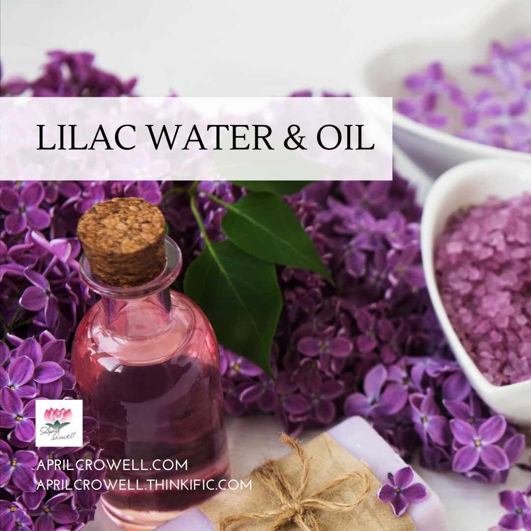 Lilac water and oil — Aprilcrowell.com