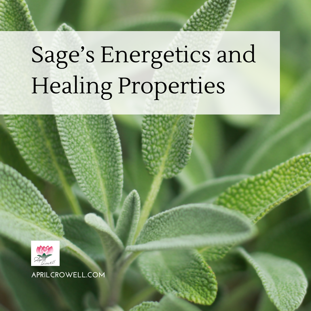 Sage’s Energetic And Healing Properties — Aprilcrowell.com