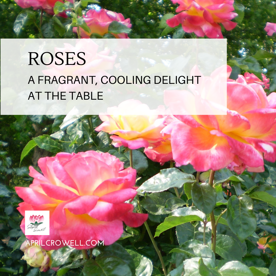 Roses – A Fragrant, Cooling Delight at the Table — Aprilcrowell.com