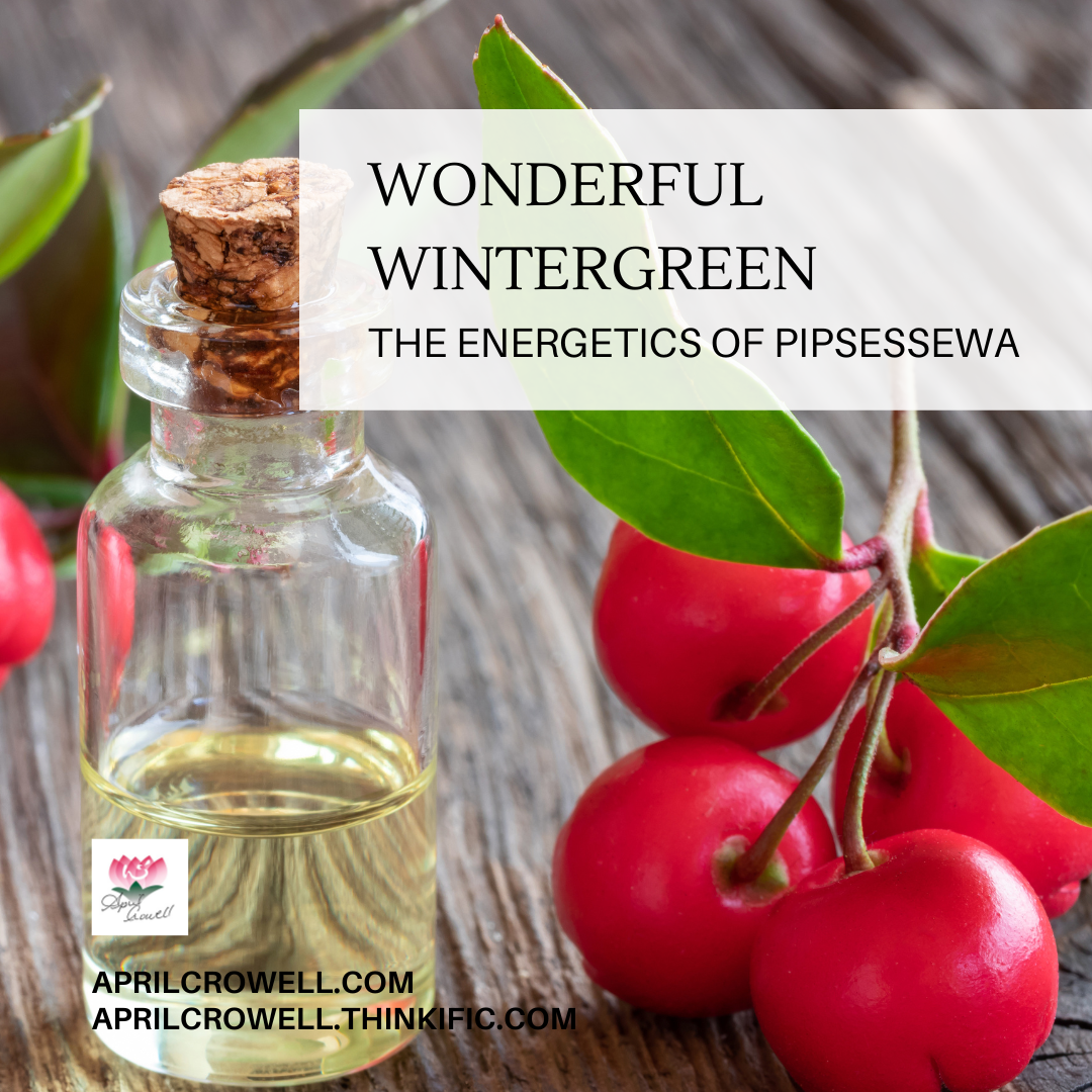 wonderful wintergreen — Aprilcrowell.com