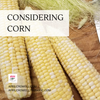 Corn — Aprilcrowell.com
