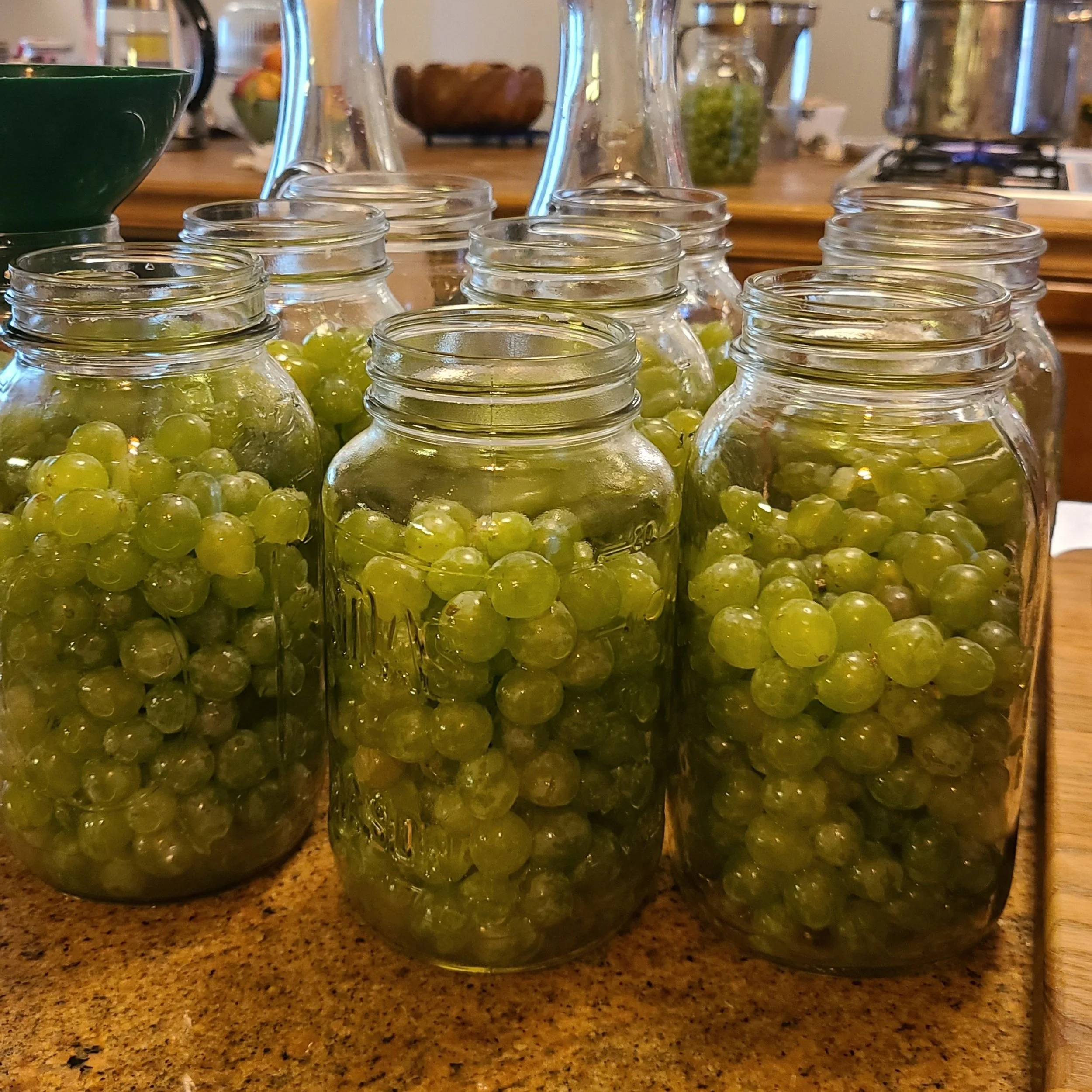 The Energetics of Grapes — Aprilcrowell.com
