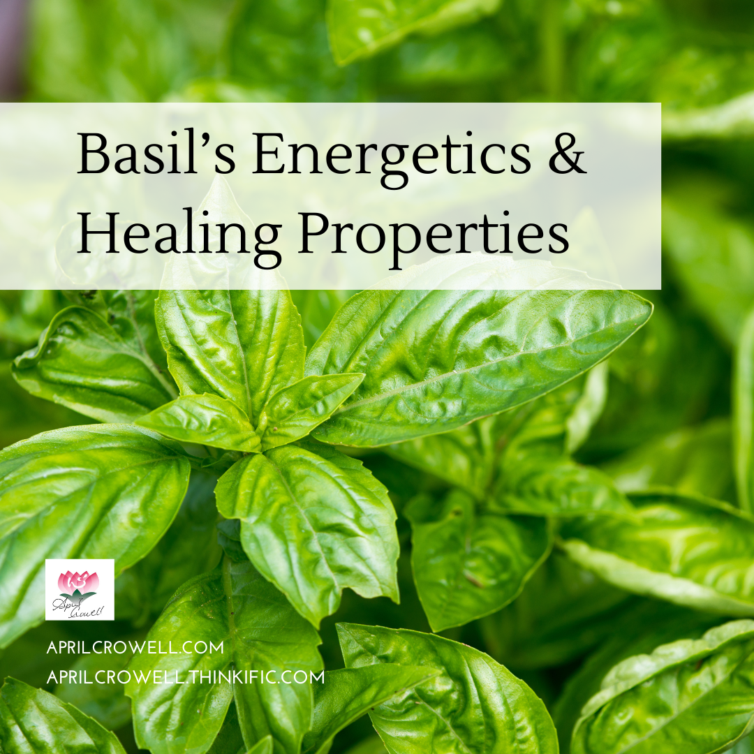 Basil’s Energetic And Healing Properties — Aprilcrowell.com