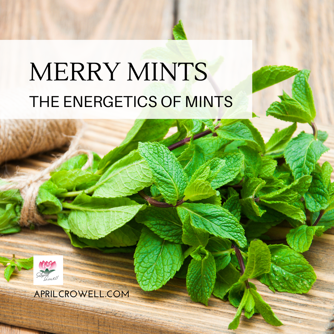 Merry Mints – The Energetics Of Mints — Aprilcrowell.com