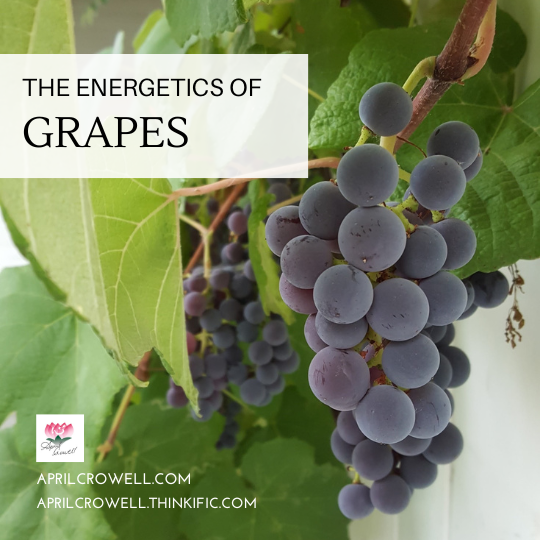 The Energetics of Grapes — Aprilcrowell.com