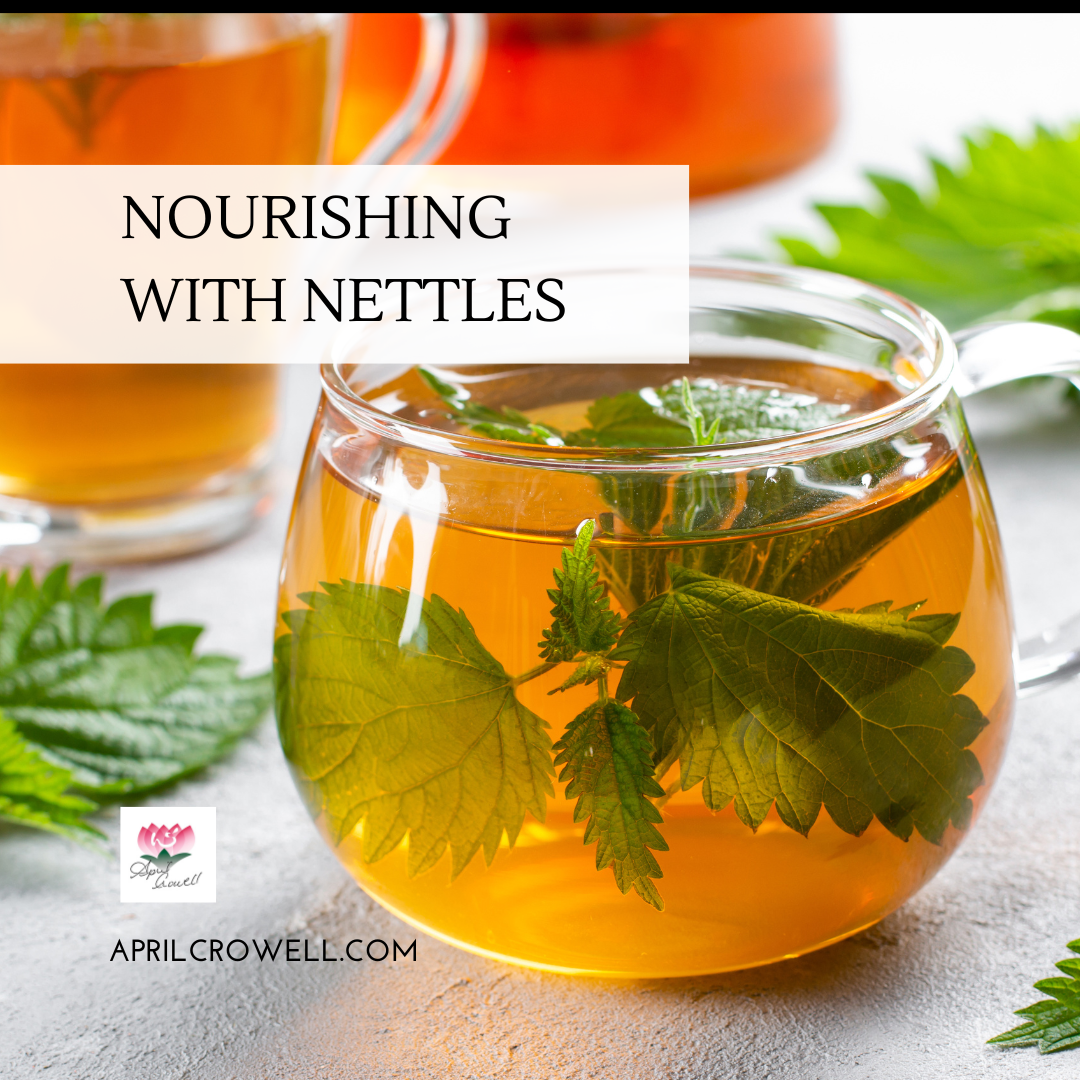 Nourishing With Stinging Nettles — Aprilcrowell.com