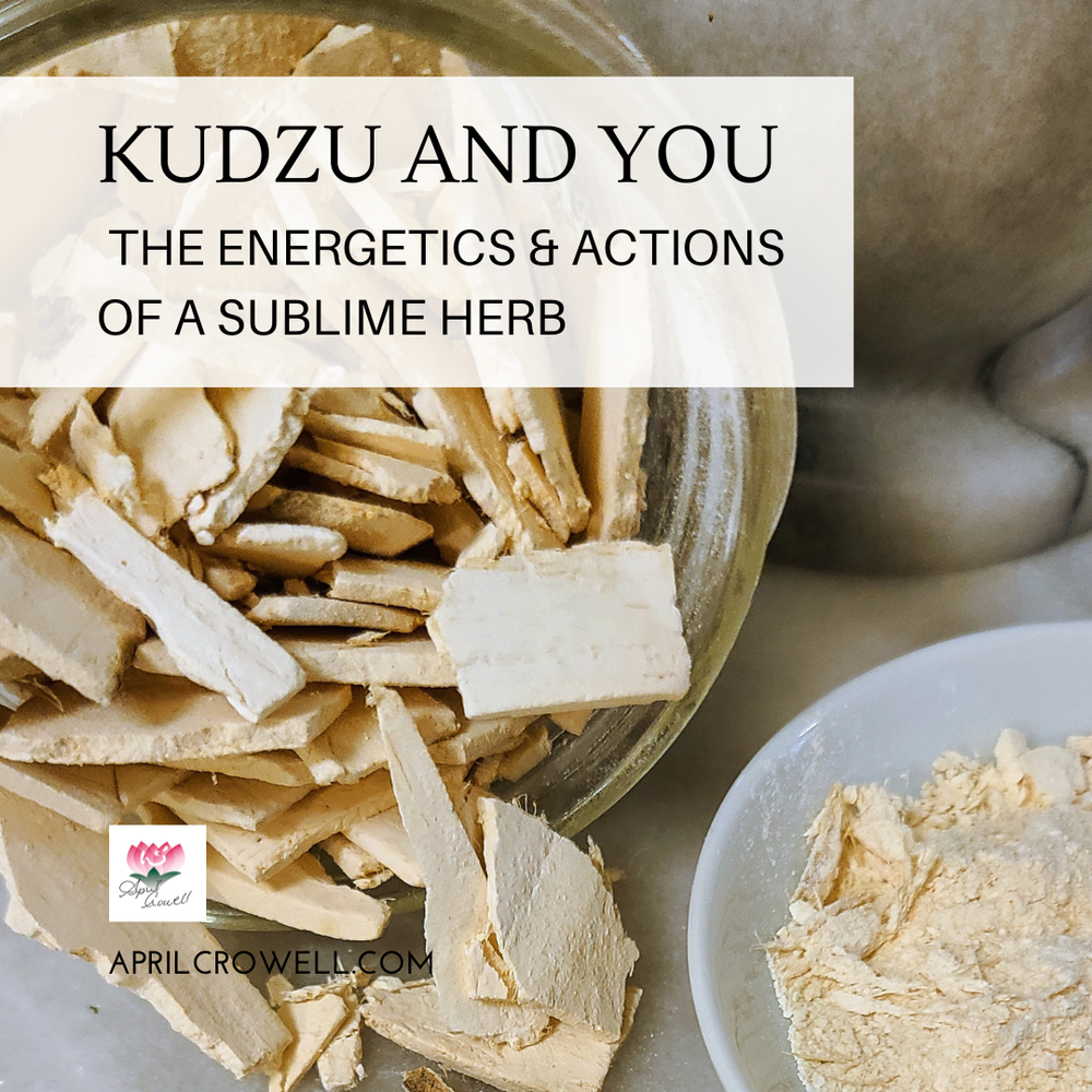 Kudzu And You - The Energetics And Actions of a Sublime Herb ...