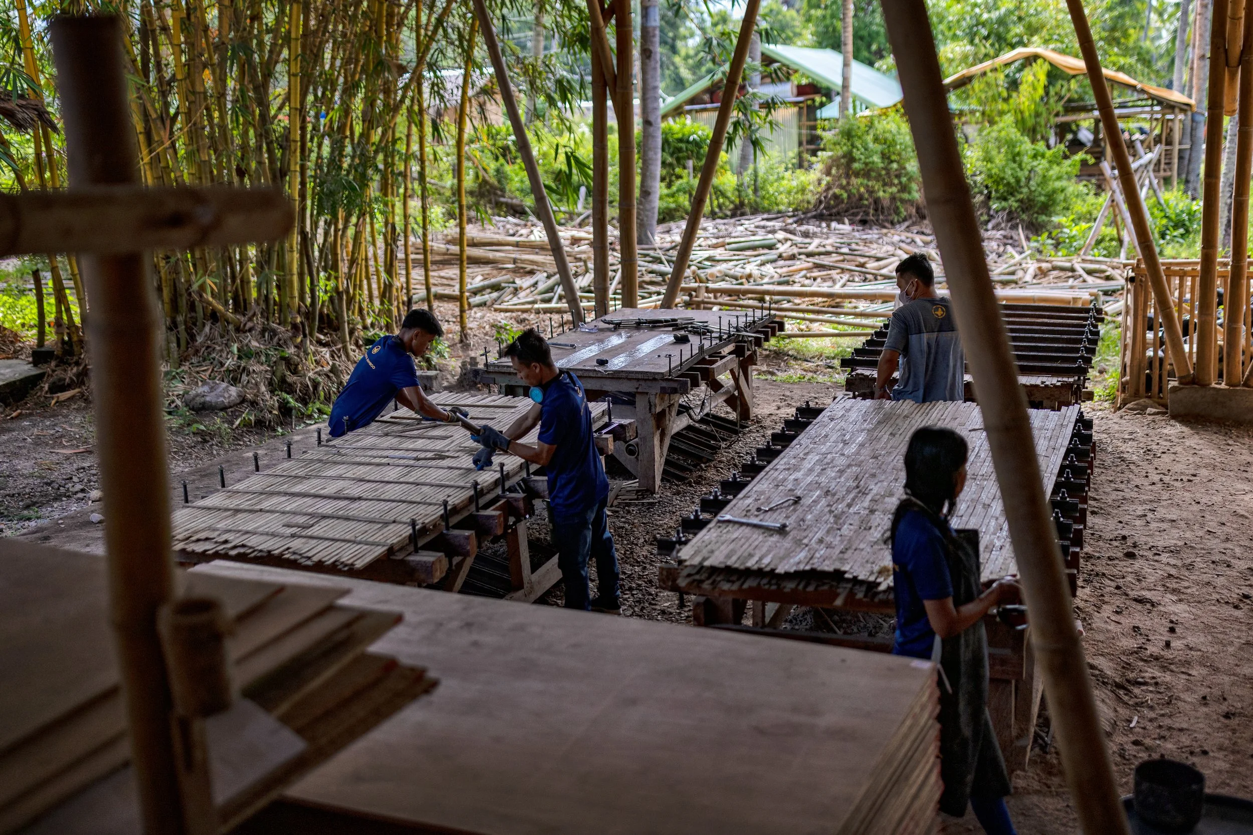 Making Bamboo Mainstream with the Bamboo Experts from BASE