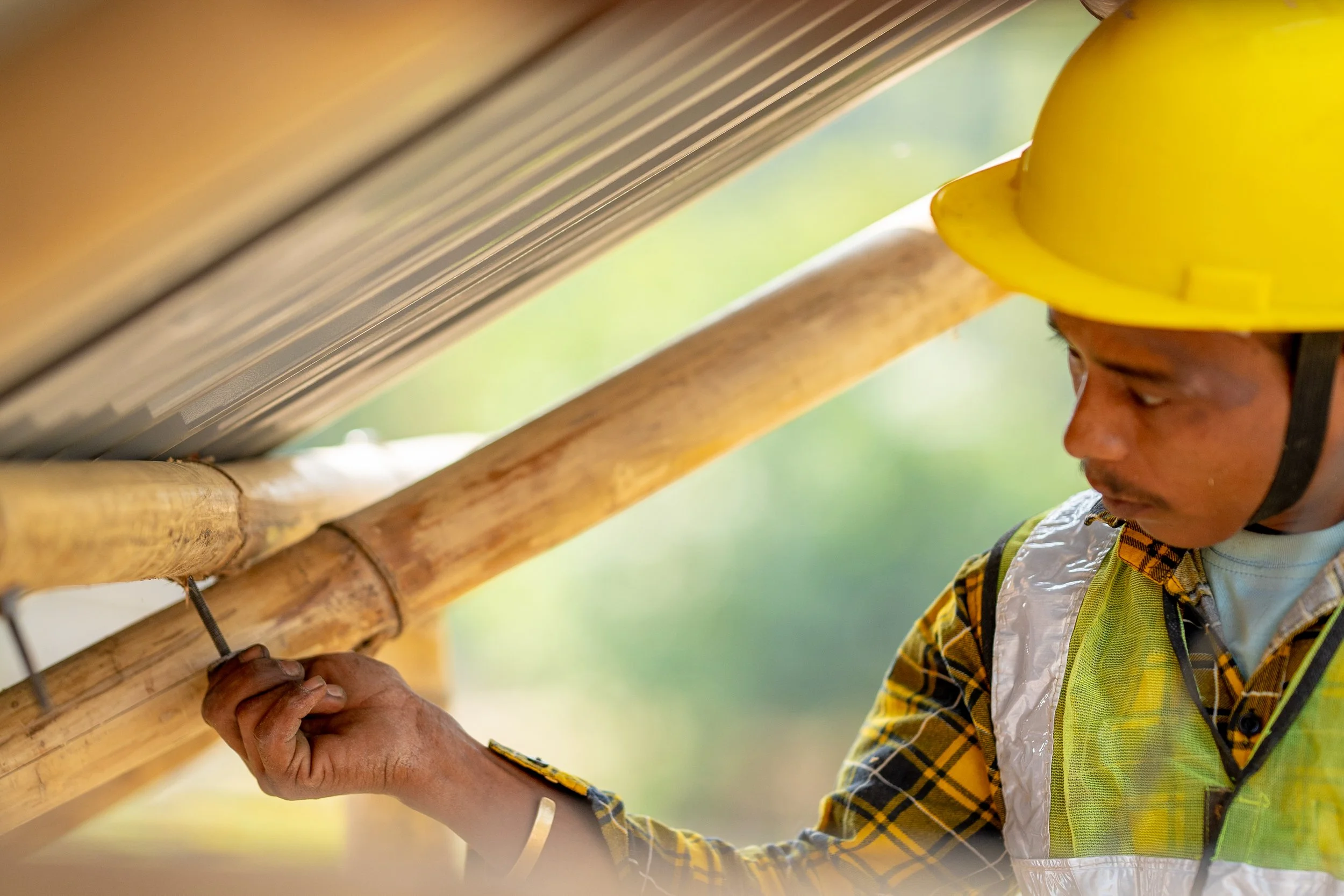 Making Bamboo Mainstream