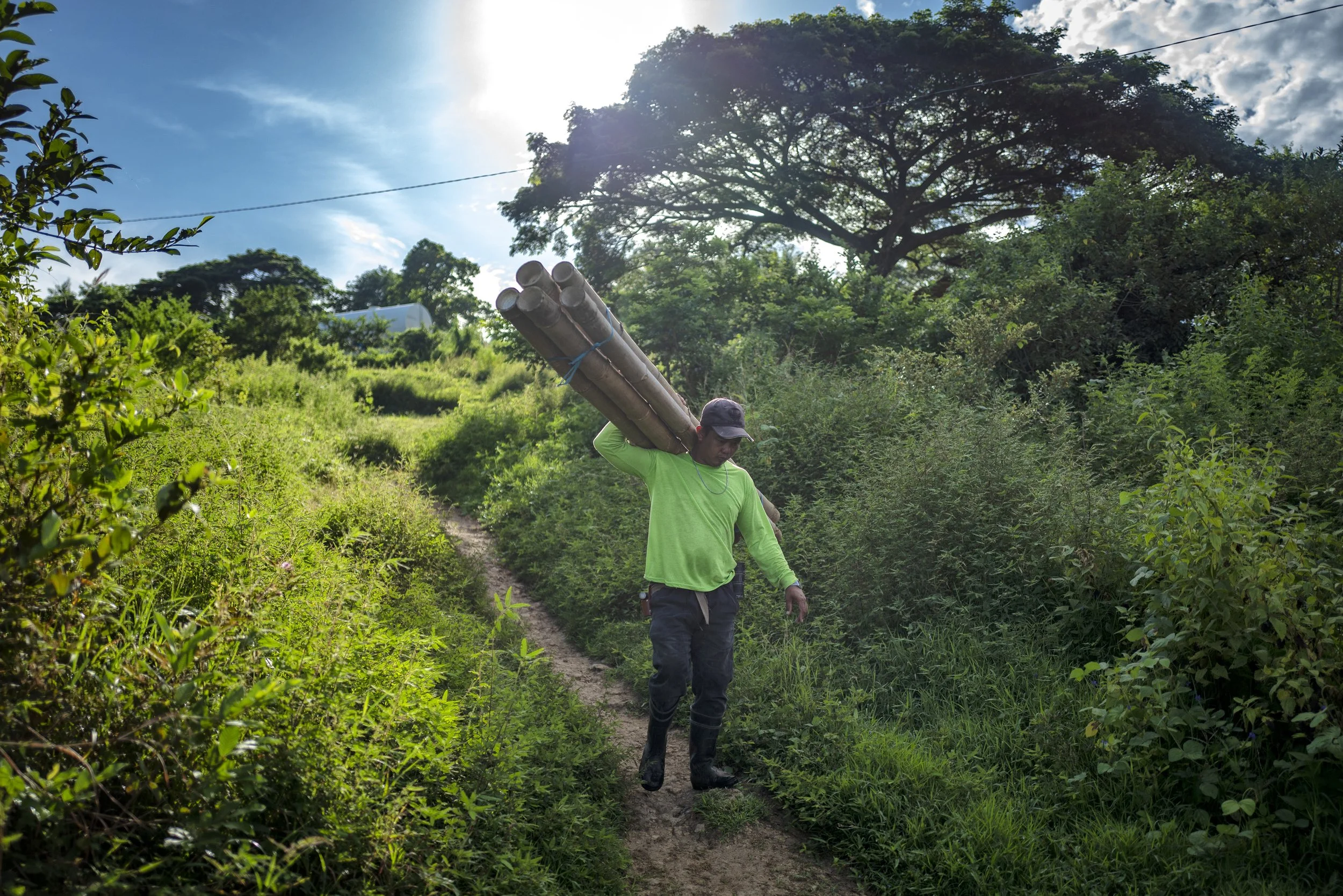 Tackling the Global Housing Crisis With Bamboo