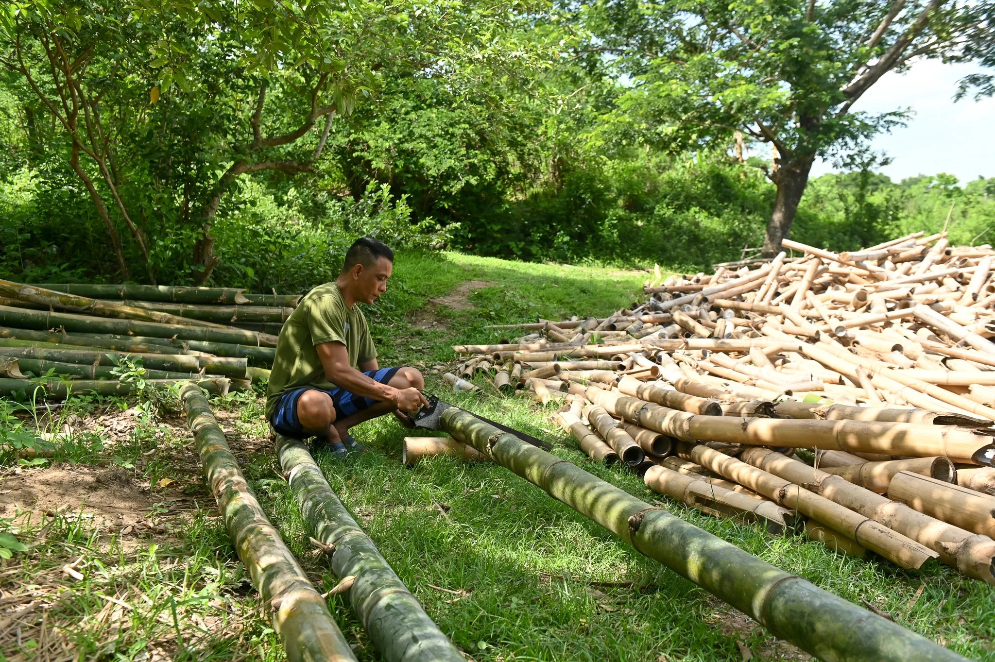 CELEBRATING INTERNATIONAL BAMBOO DAY: SAFE HOUSES FOR 6,000 PEOPLE WITH ...