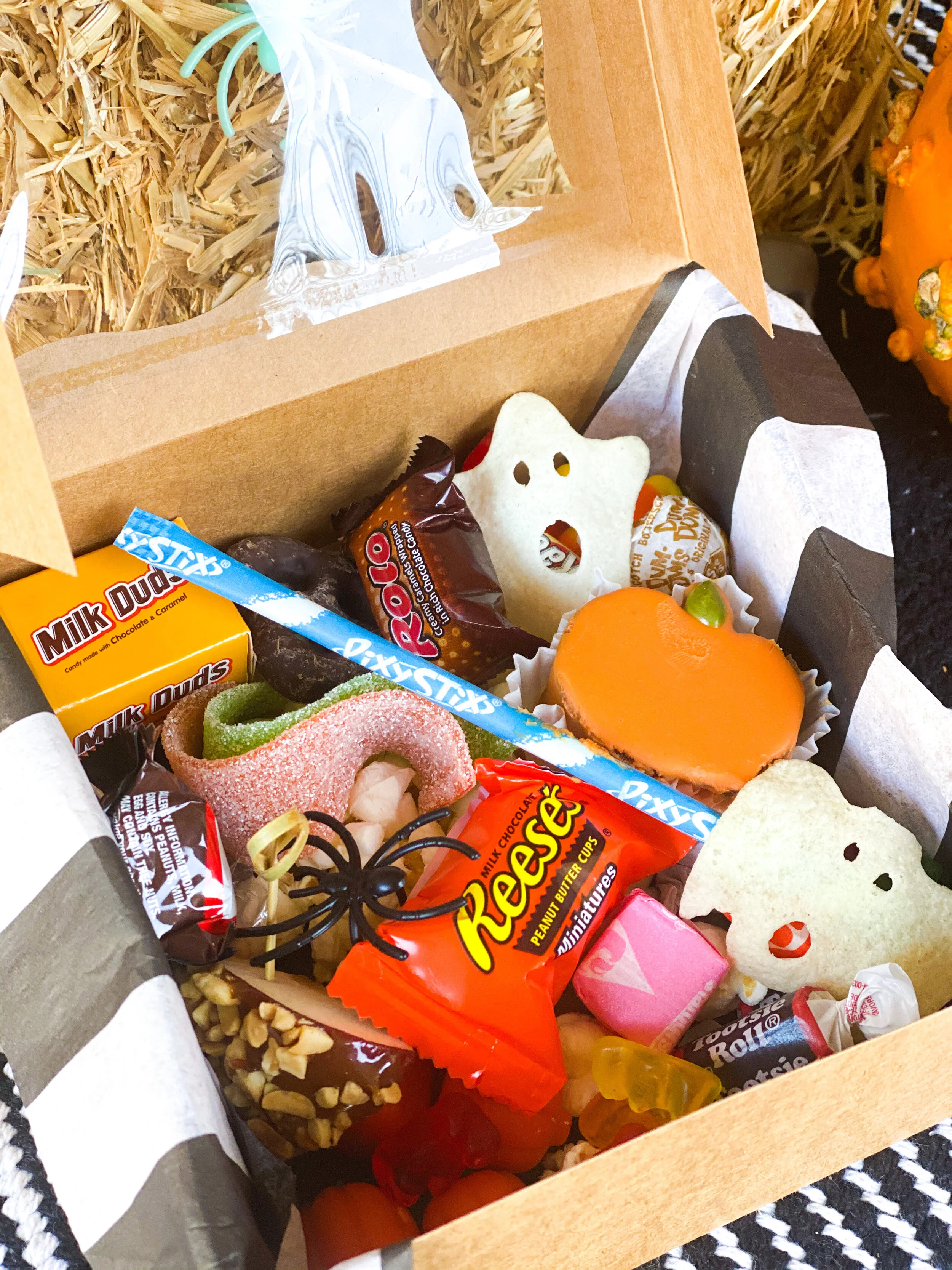 Cravings Gallery — Hill Country Cravings