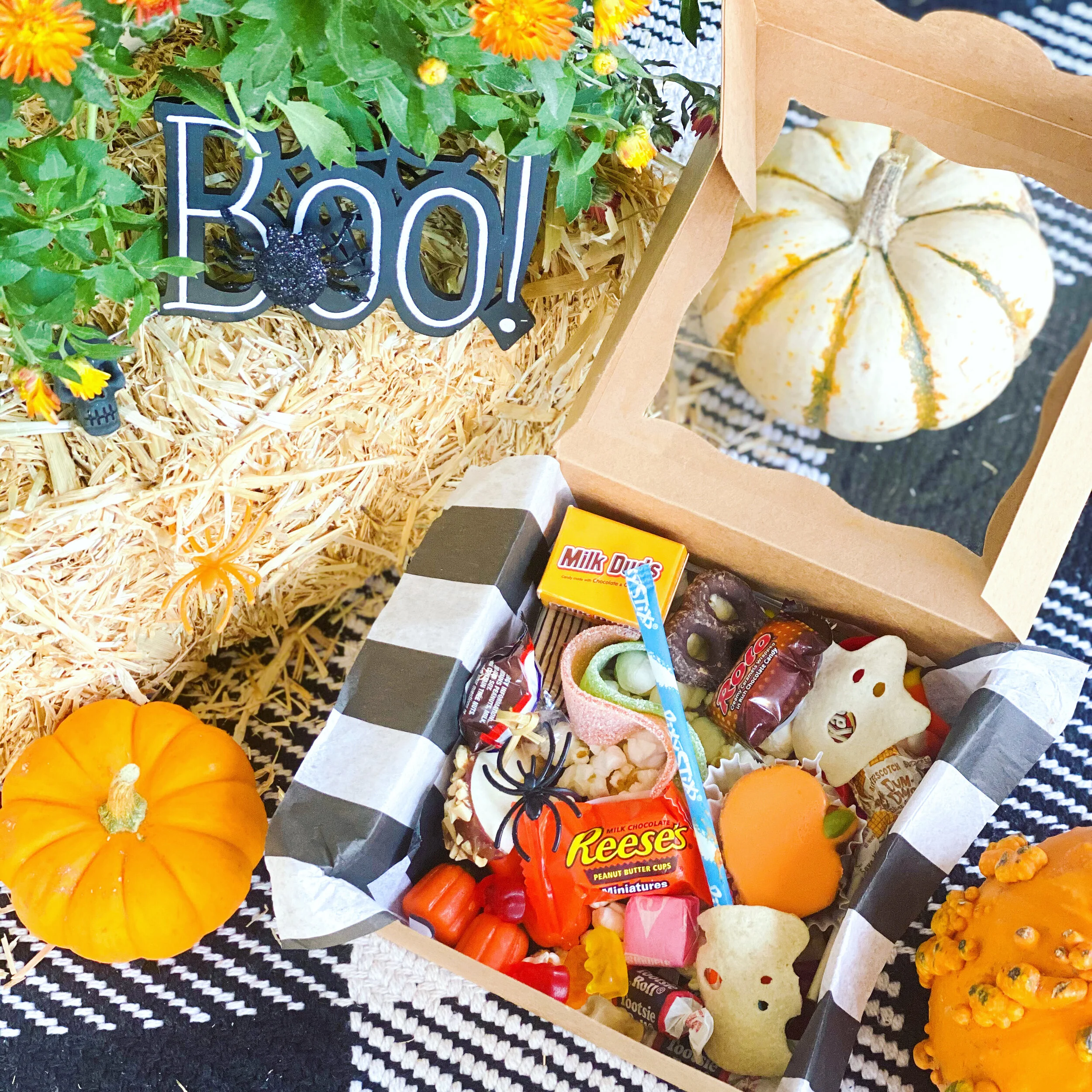 Cravings Gallery — Hill Country Cravings