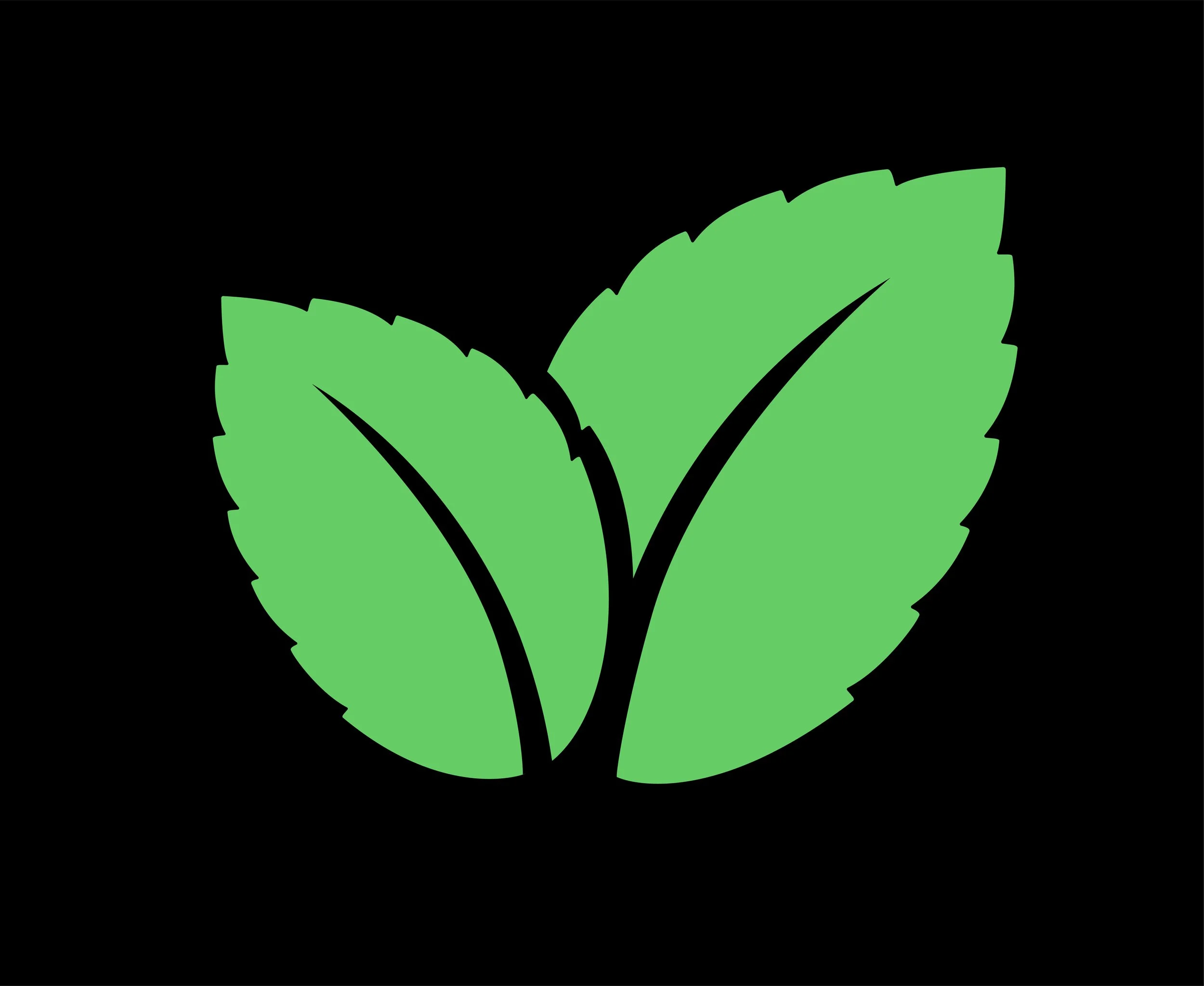 Home [ukulele-lychee-r6kw.squarespace.com]