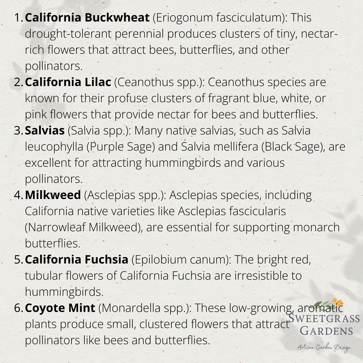 My favorite native pollinator plants. — Artisan garden design
