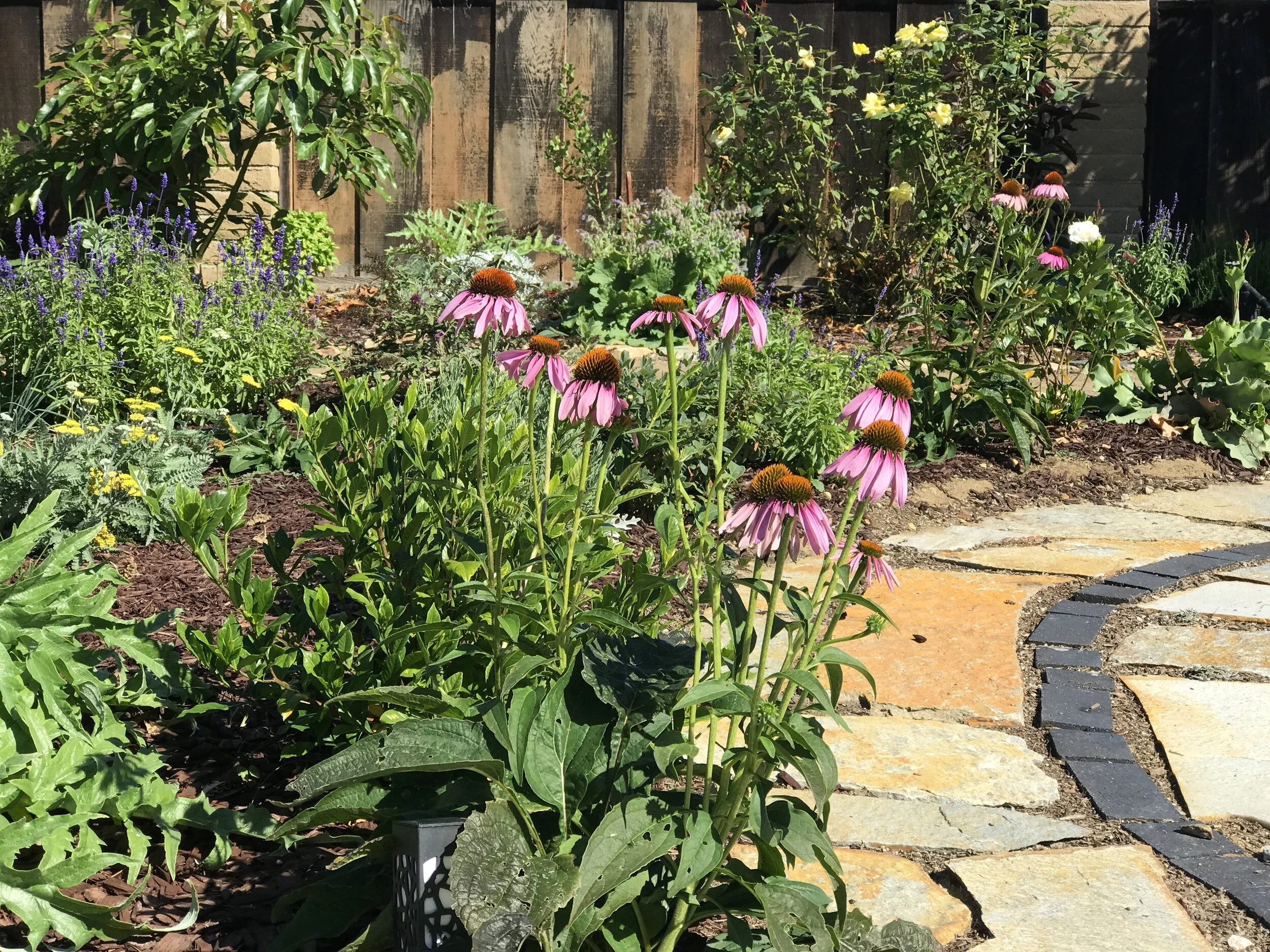 Landscape design Orange County CA — Artisan garden design
