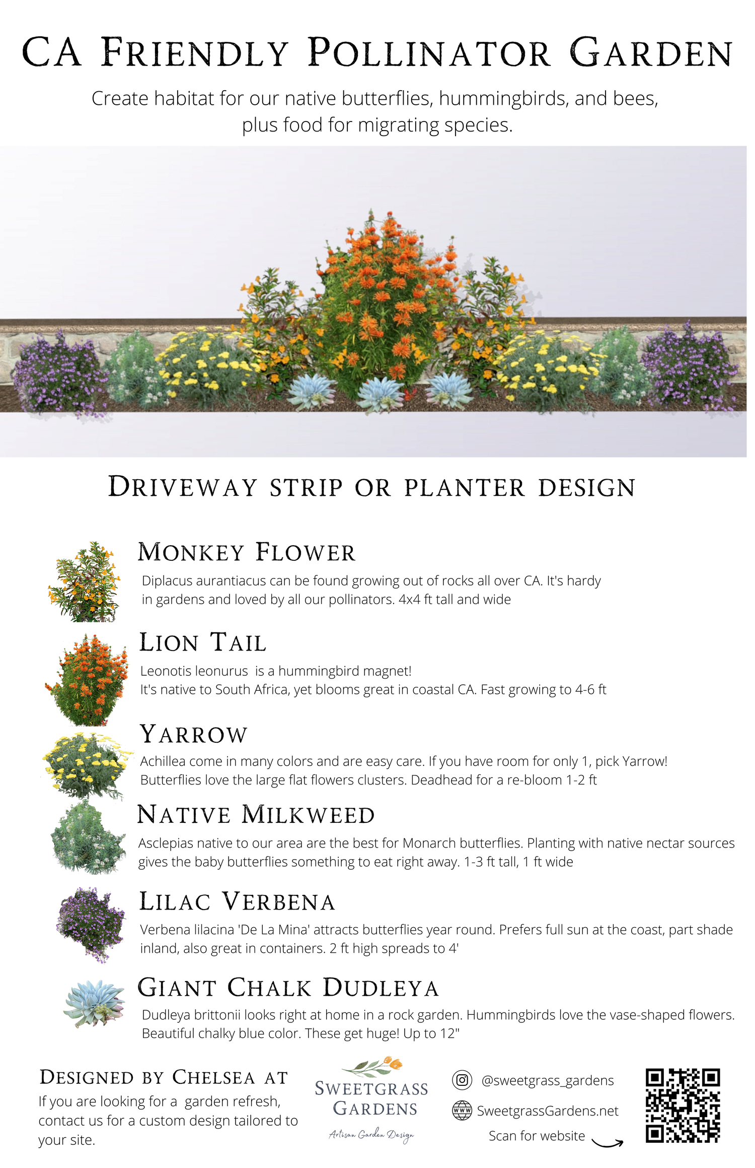 Ready made design. Pollinator garden plan — Artisan garden design