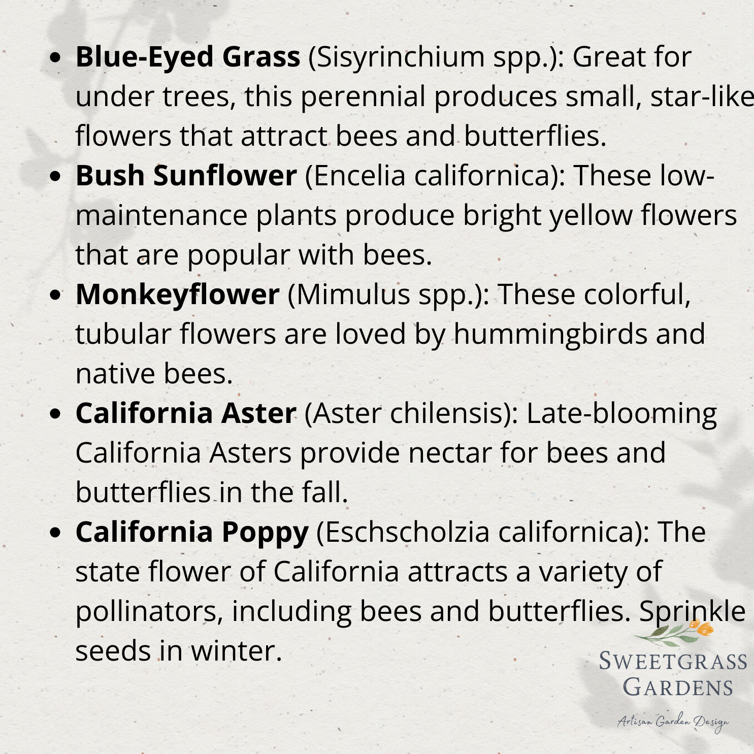 My favorite native pollinator plants. — Artisan garden design