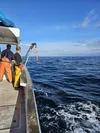 Ropeless RISER™ Used in the First Fully On-Demand Fishery in California ...