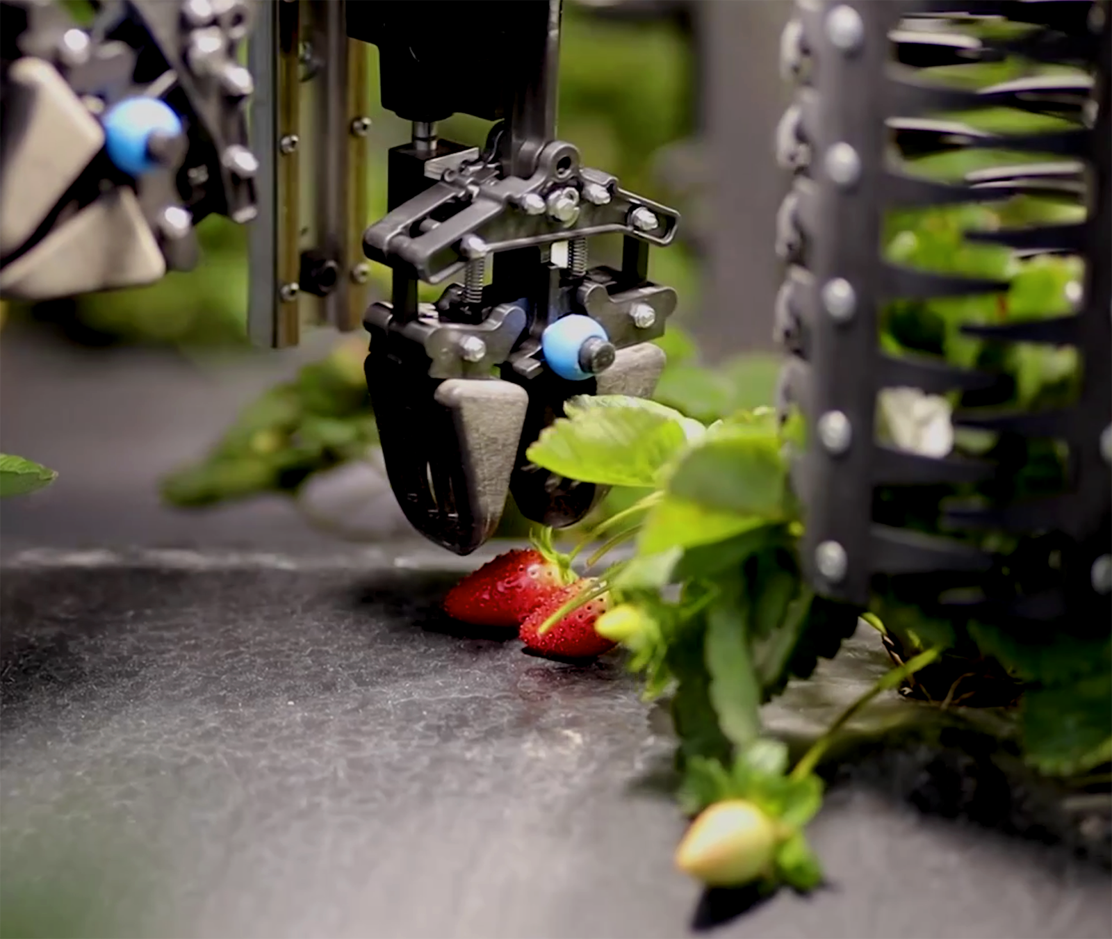 Harvest CROO Robotics