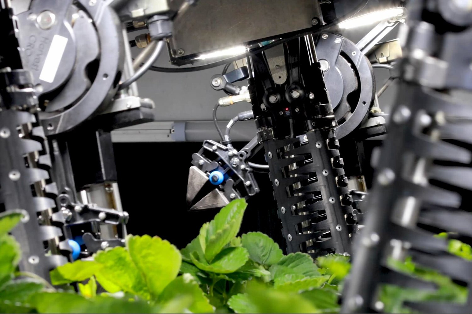 Technology — Harvest CROO Robotics
