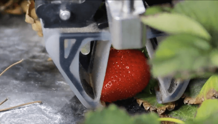 Technology — Harvest CROO Robotics