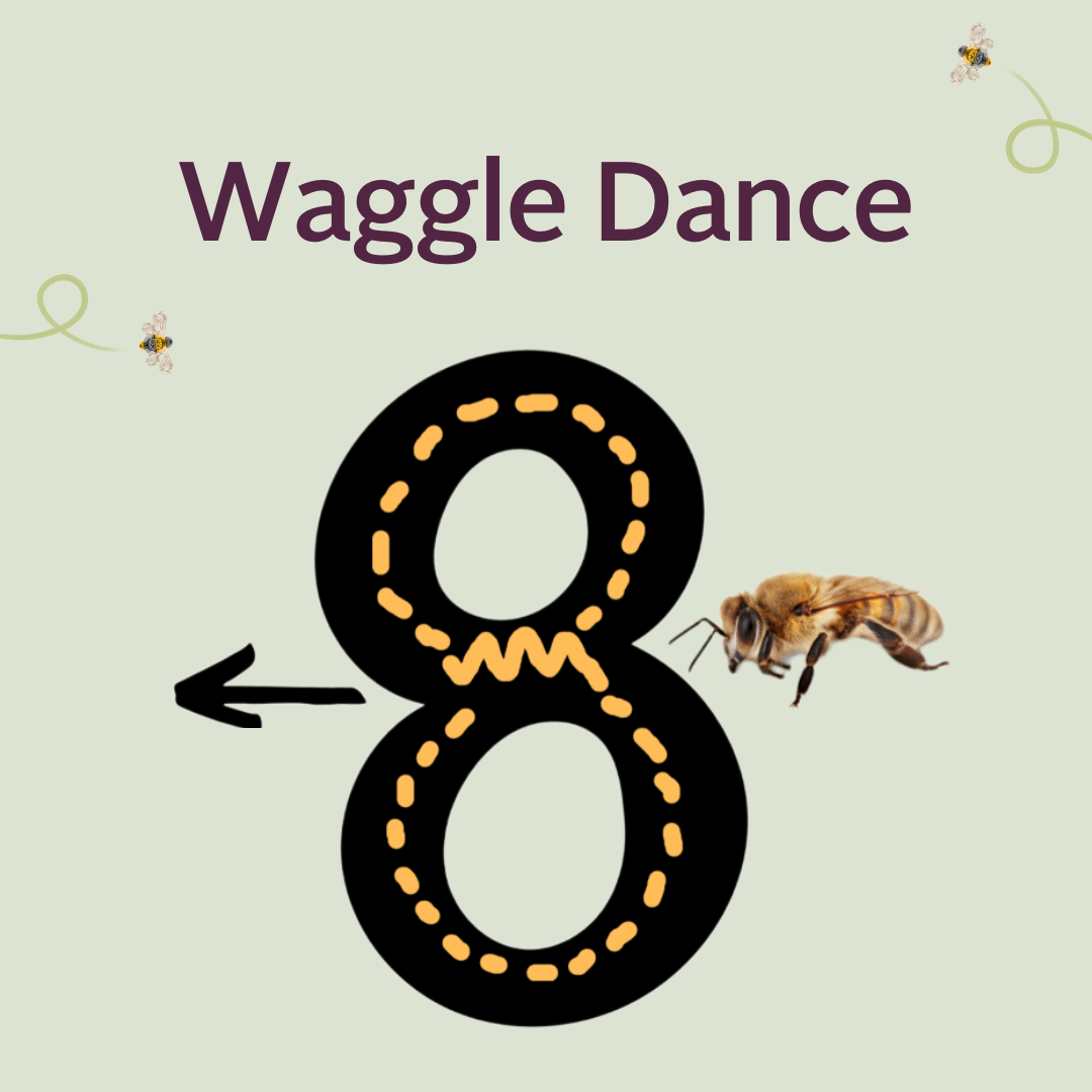 The Power of Pollination — Garden to Table