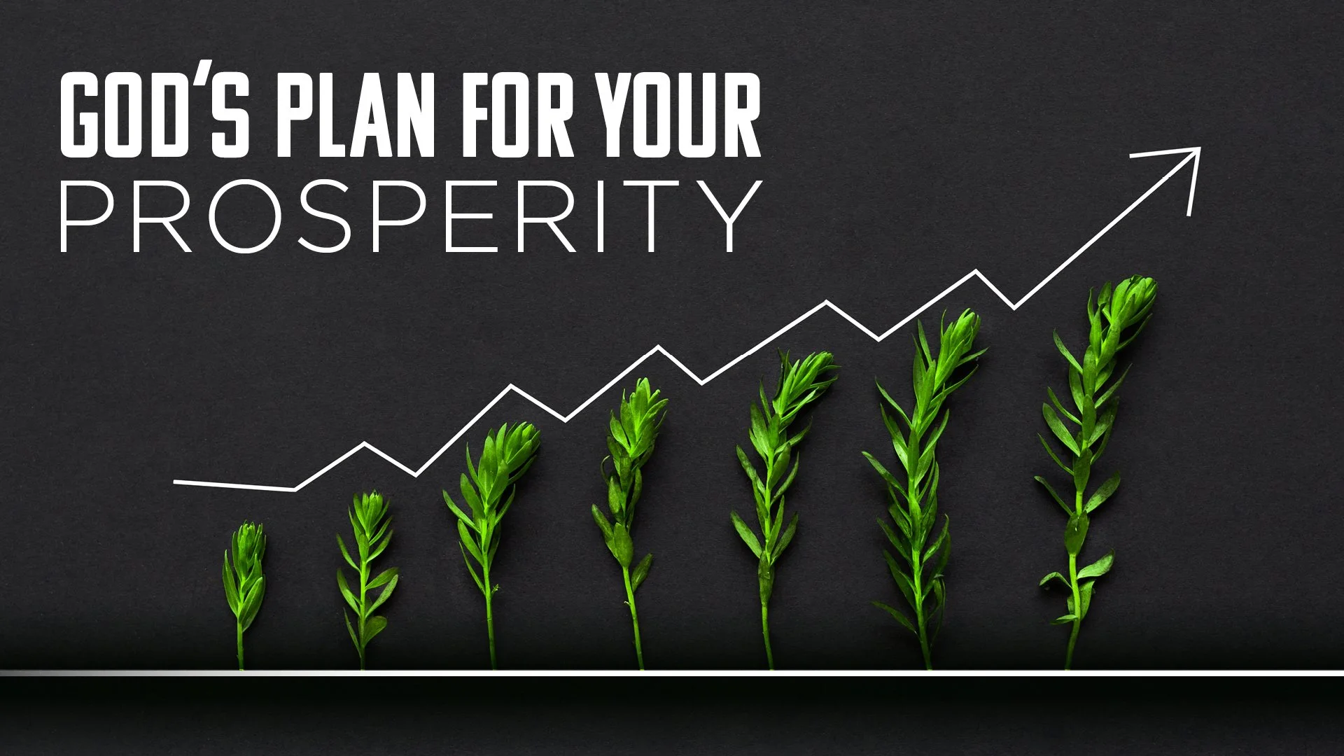 Church Info Hub — Life Church Boise