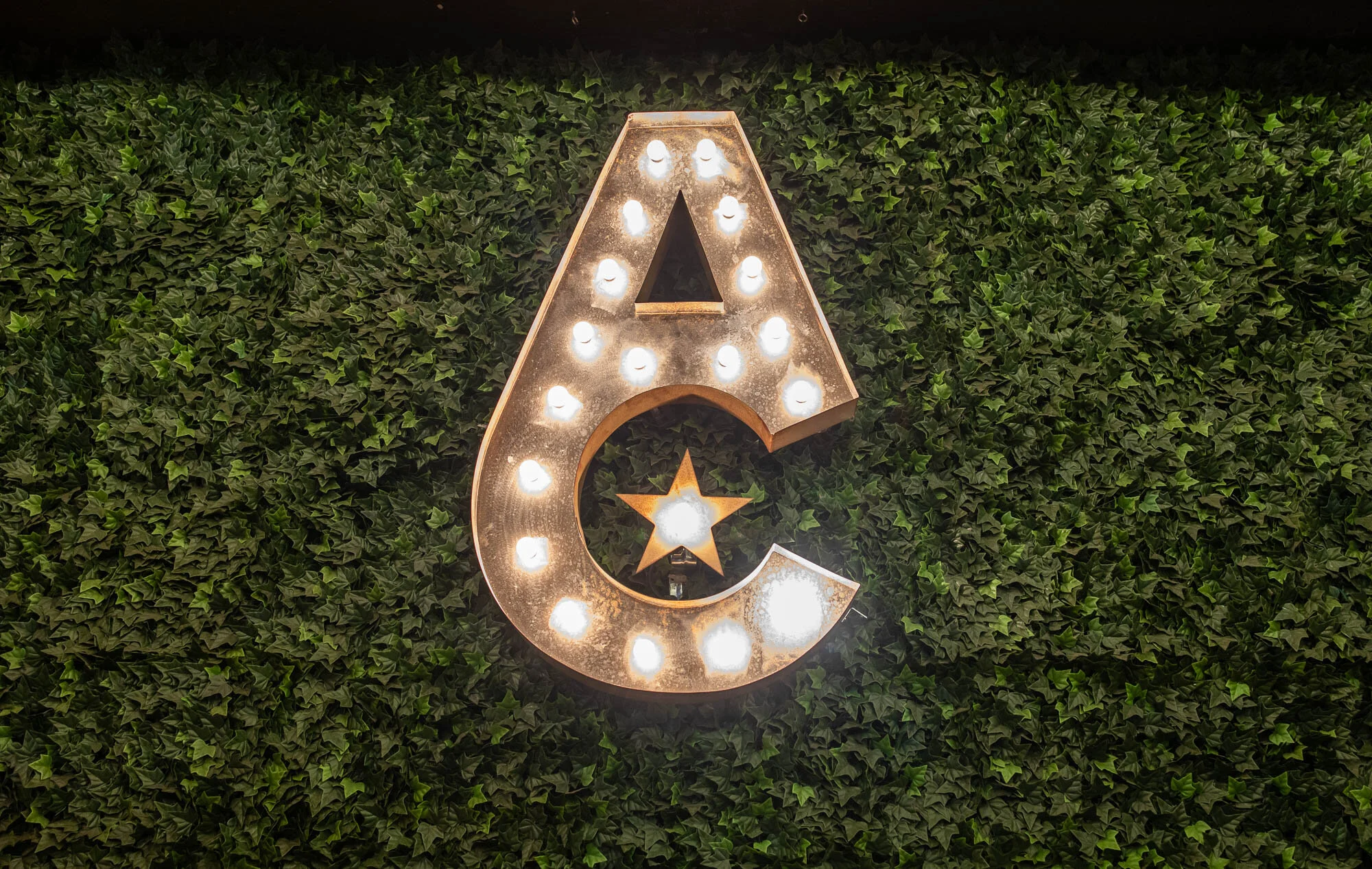 Gallery — Alamo Club