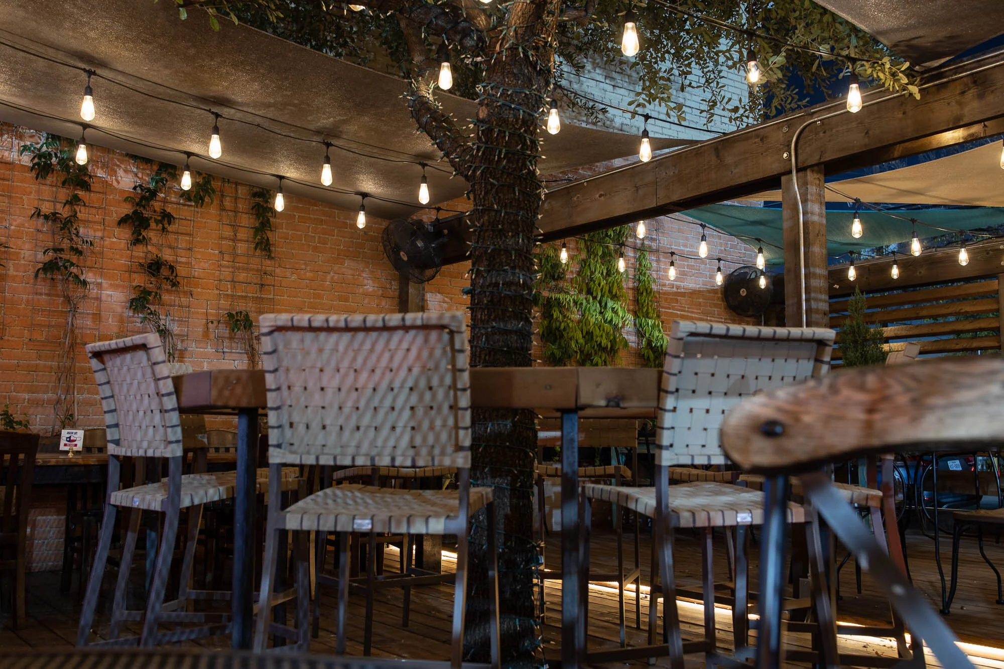 Gallery — Alamo Club