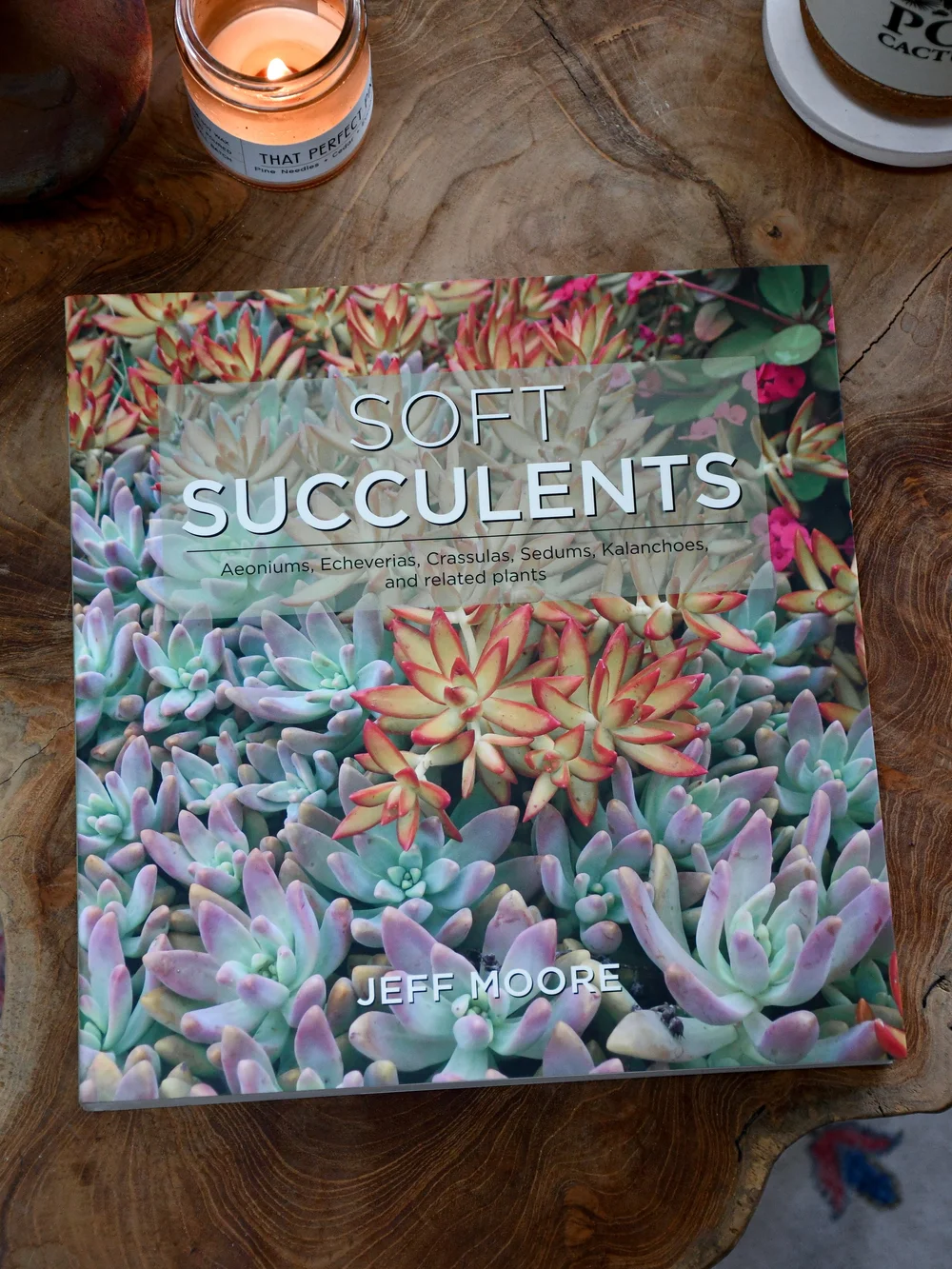 Shop — Poot's Cactus Nursery